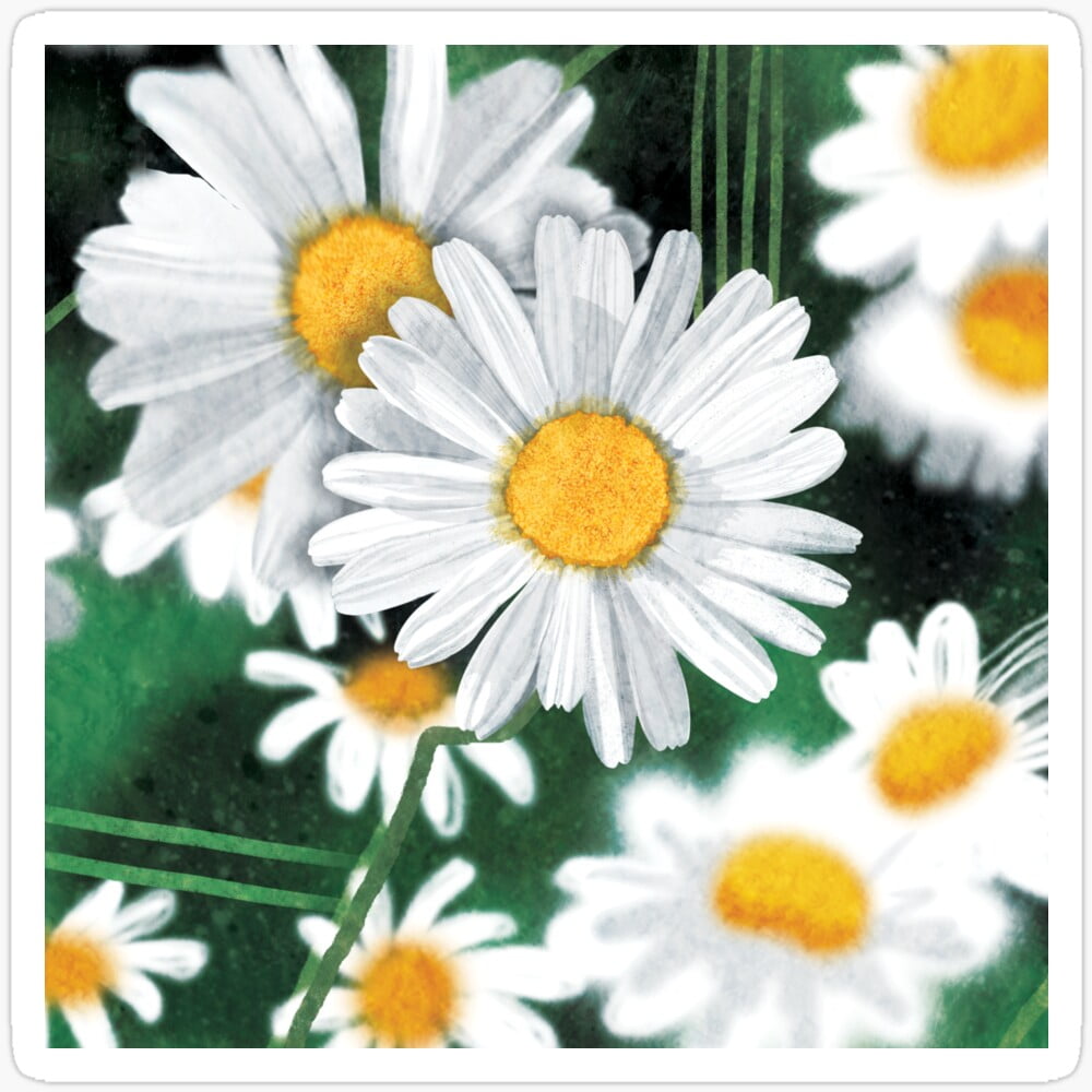 Daisies Sticker Phone Decal Water Bottle Stickers Car Decals, Laptop ...