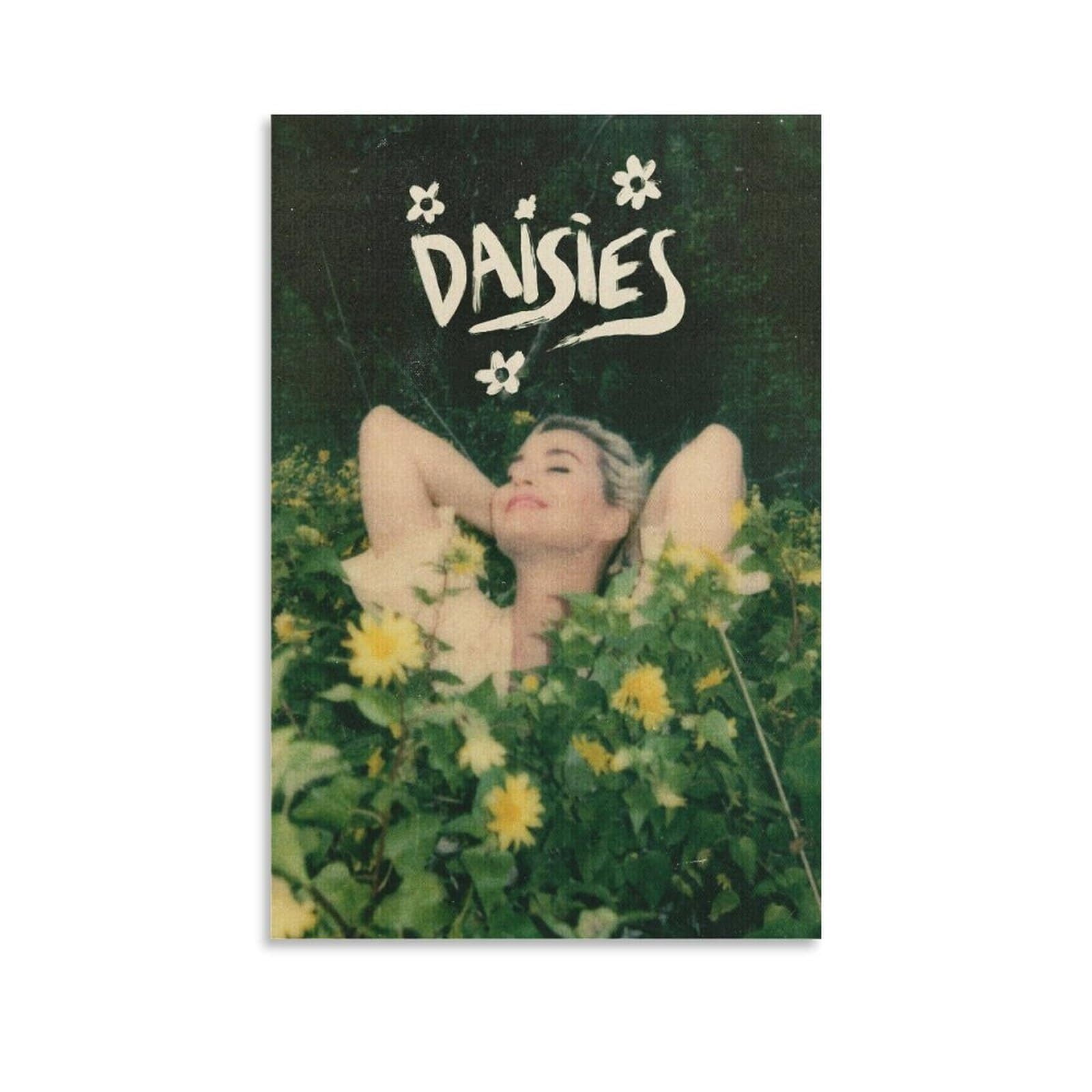Daisies by Katy Perry Canvas Poster Bedroom Decoration Landscape Office ...