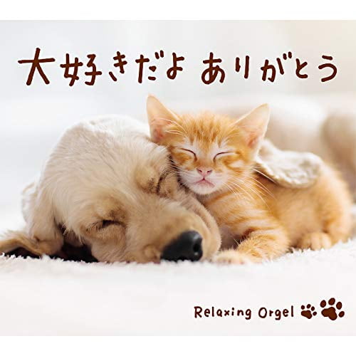 Daisuki Dayo Arigatou/Relaxing Orgel (CD) - Walmart.com
