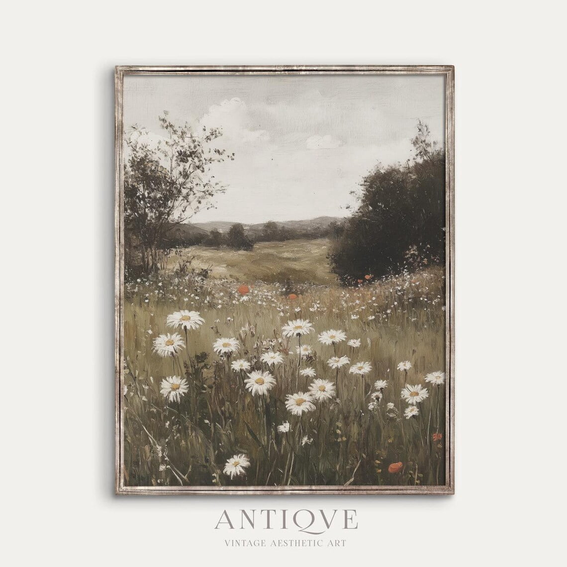 Daisy And Wildflower Meadow, Summer Landscape, Spring, Muted Colors ...