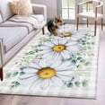 Daisy Area Rug 3x5 Washable Rug Non Slip Spring Floral Grey Plaid ...