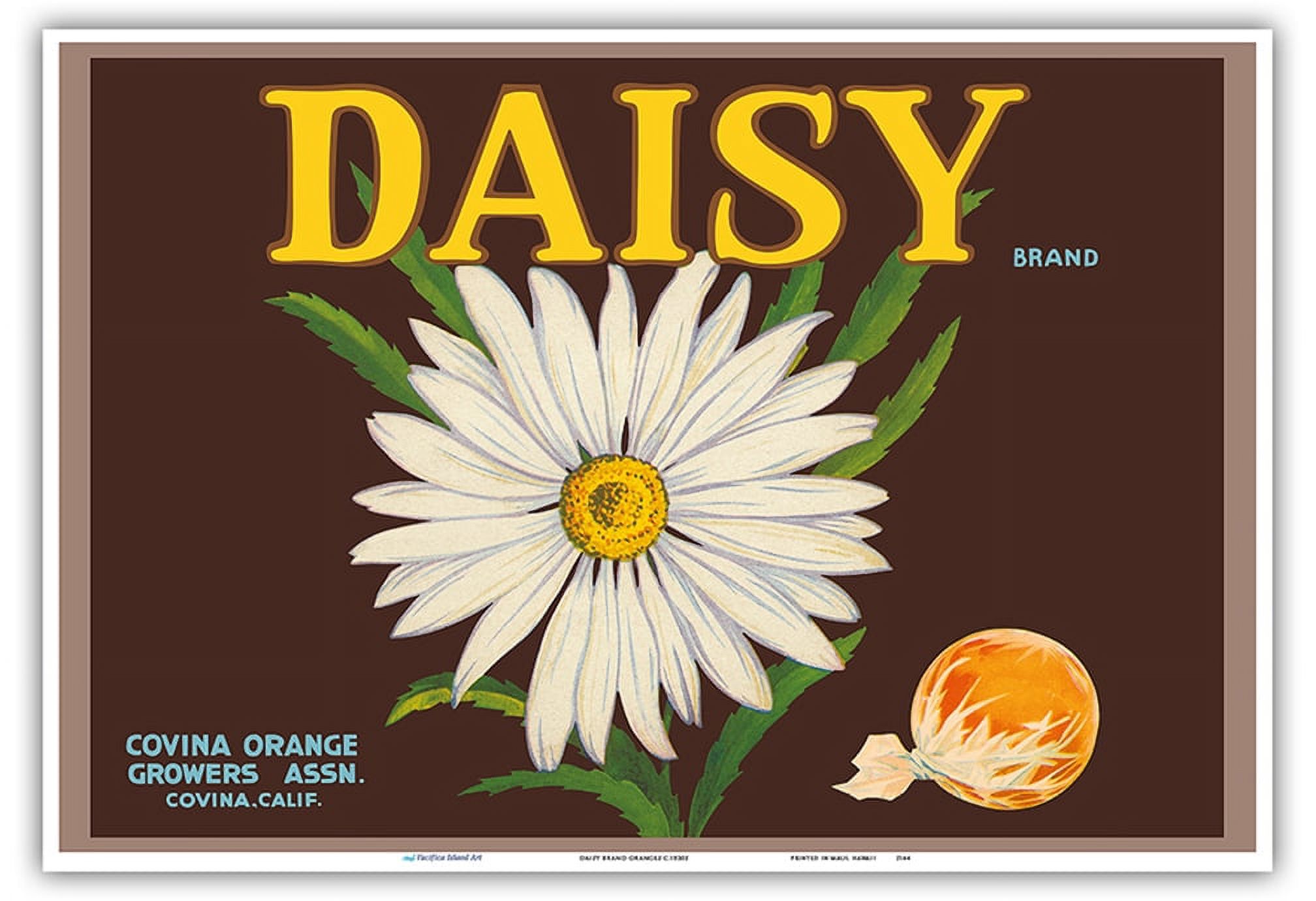 Daisy Brand Oranges - Vintage Fruit Crate Label c.1930s - Master Art ...