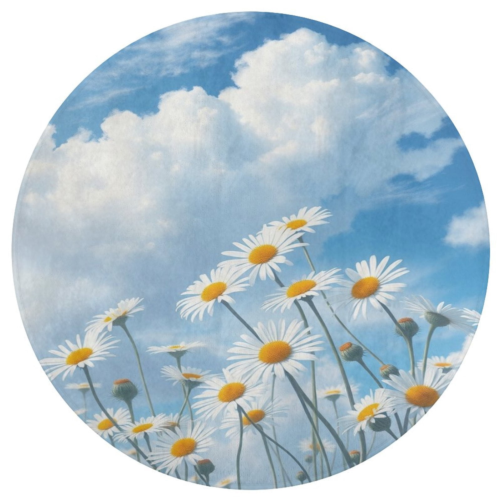 Daisy Circular Carpet Floor Mat Living Room Sofa Room Bed Rug Bedroom ...