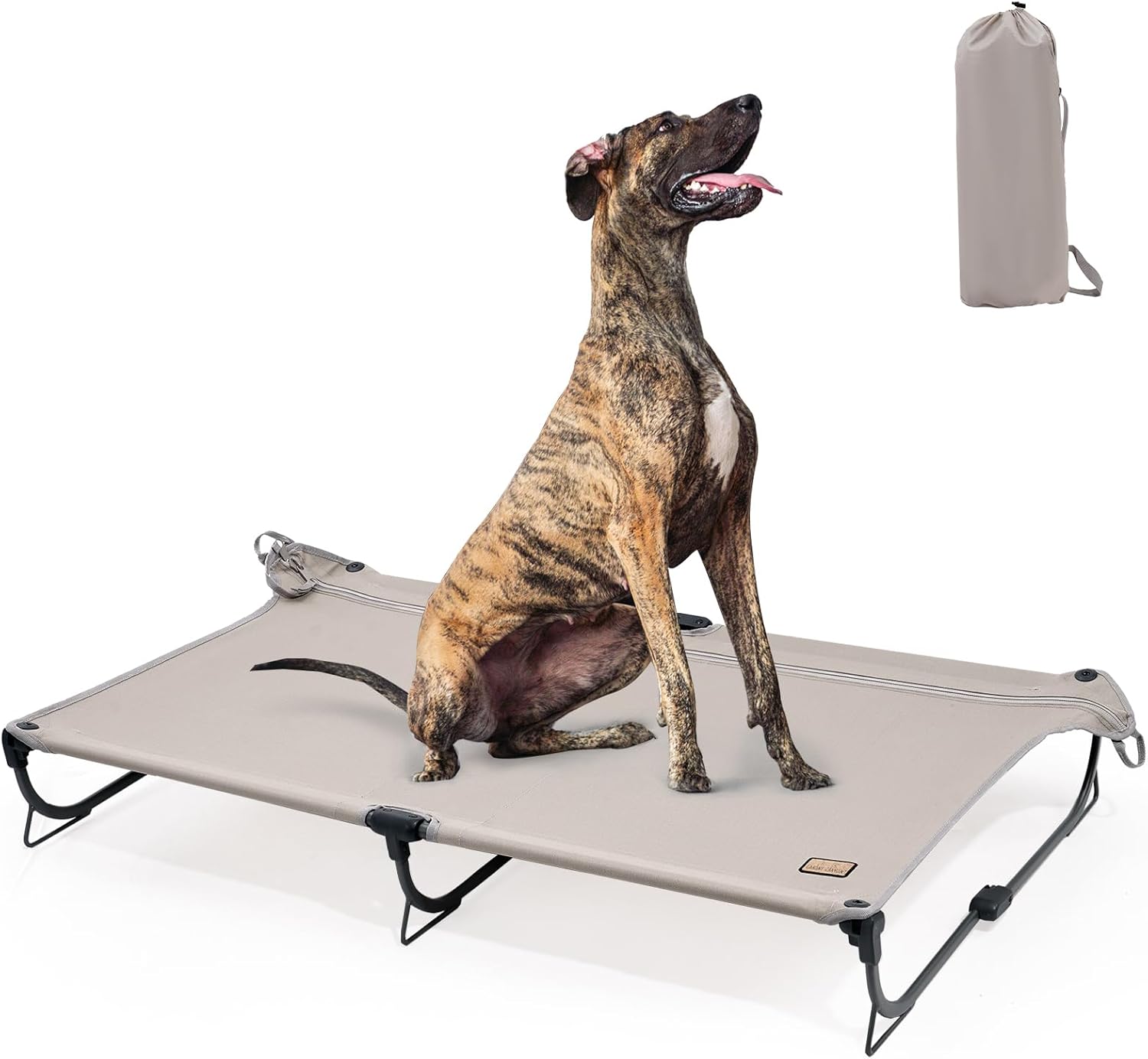Daisy Cot, XL Foldable Elevated Dog Bed, Portable Raised Outdoor ...