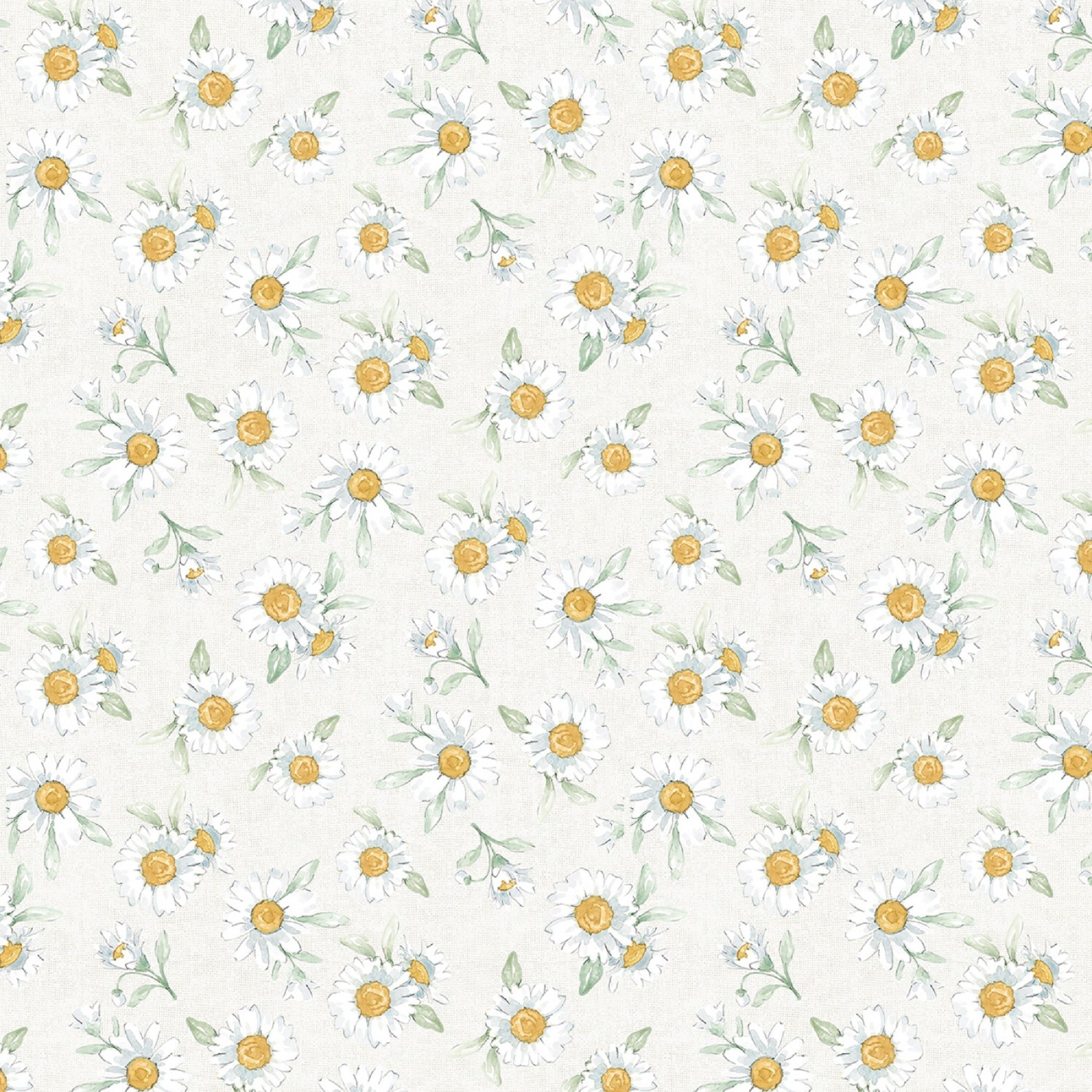 Daisy Days Cream Daisies - Walmart.com