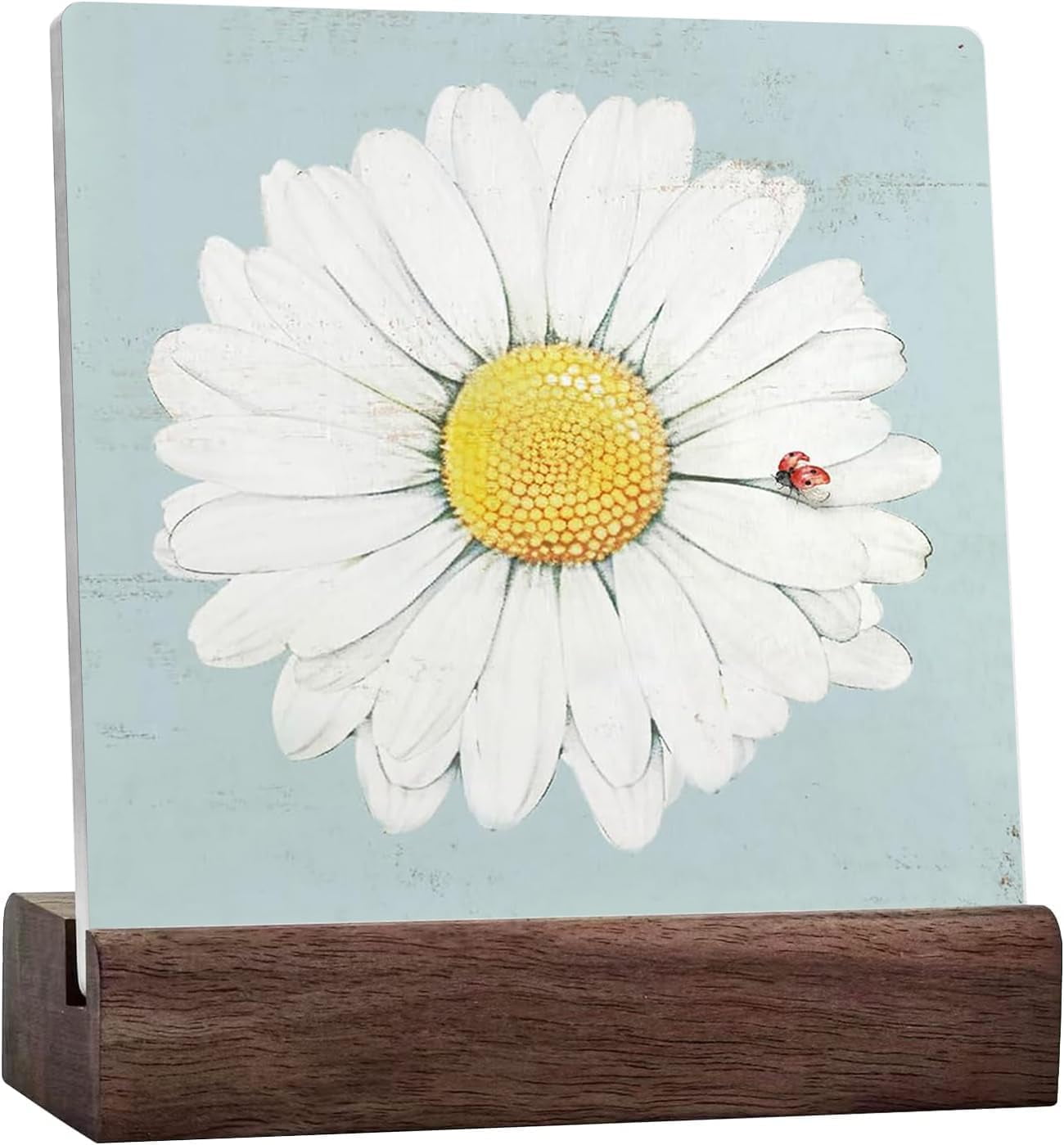 Daisy Decor,Daisy Bathroom Decor, Daisy Home Decor,Daisy Decorations ...