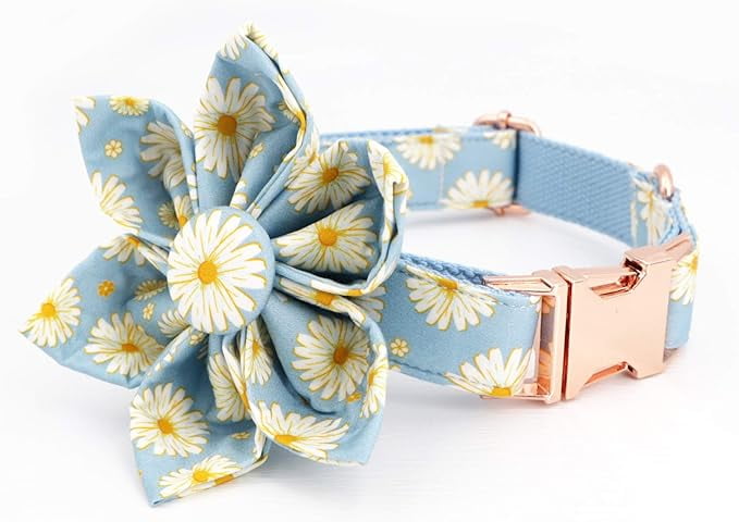 Daisy Dog Collar with Flower,Light Blue Daisy Dog Flower Collar, Girl ...