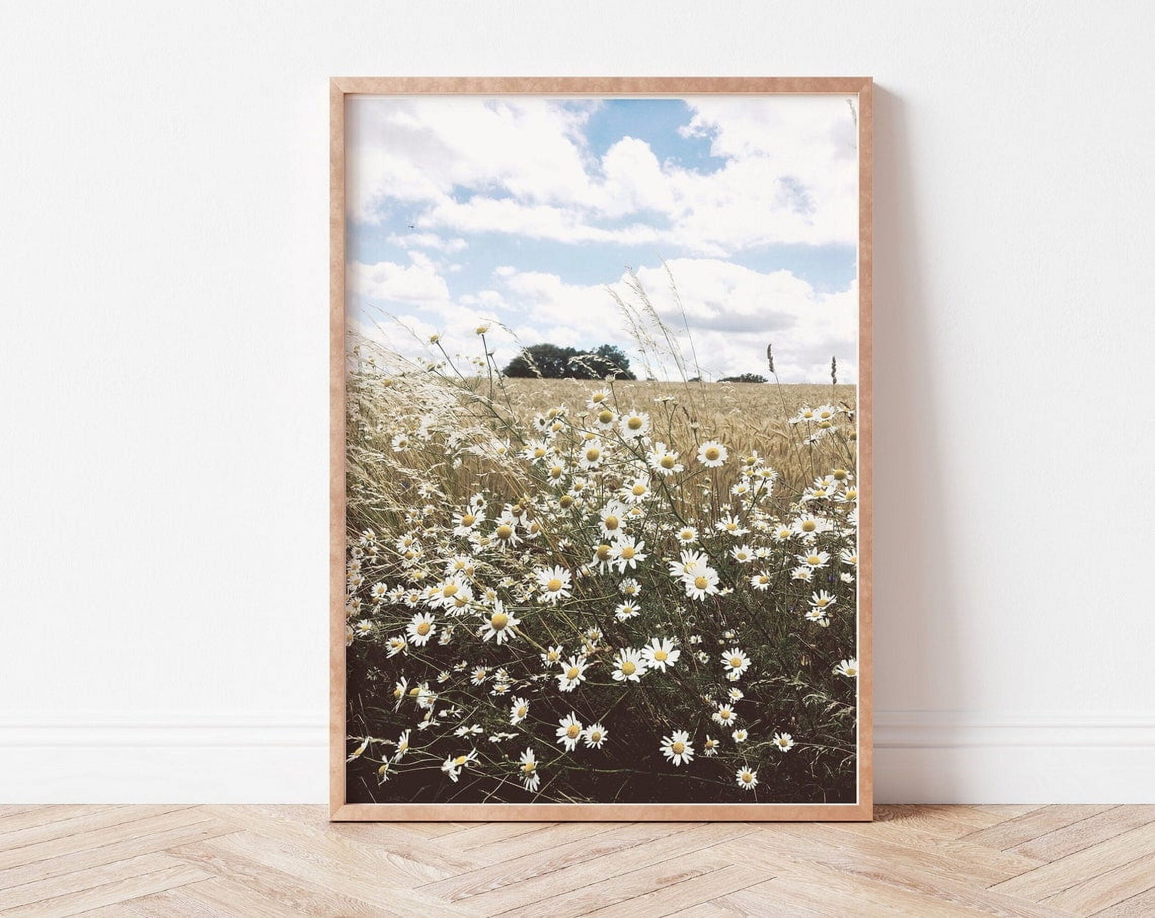 Daisy Field Print Daisies Photography Farm Flowers Poster Wildflowers ...