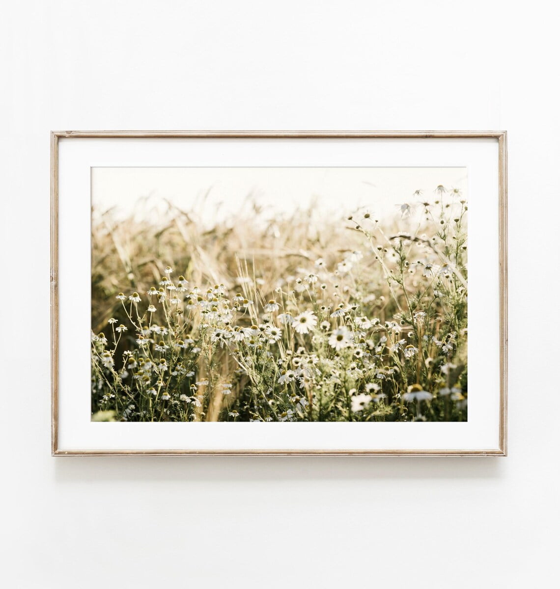 Daisy Field Print, Wildflowers Horizontal Print, Field Of Daisy ...