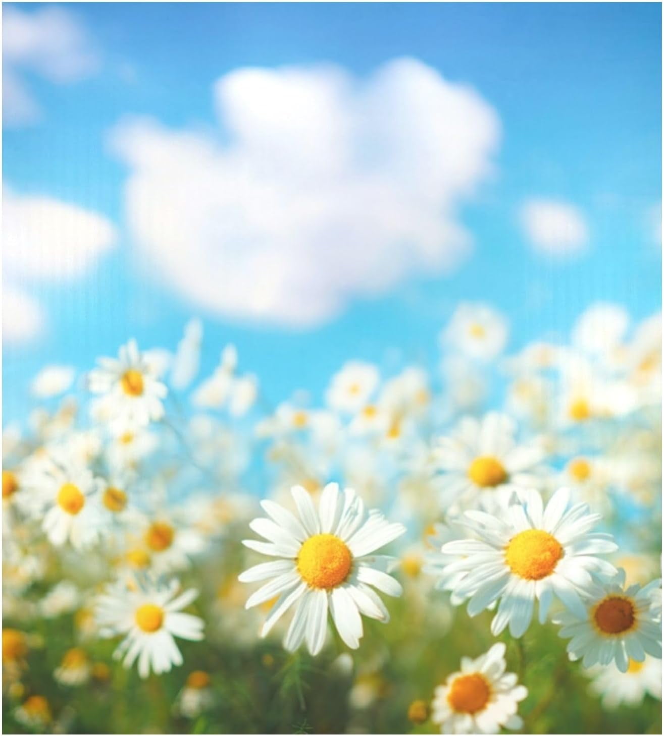 Daisy Field Sky Dishwasher Magnet Covers for The Front Magnetic ...