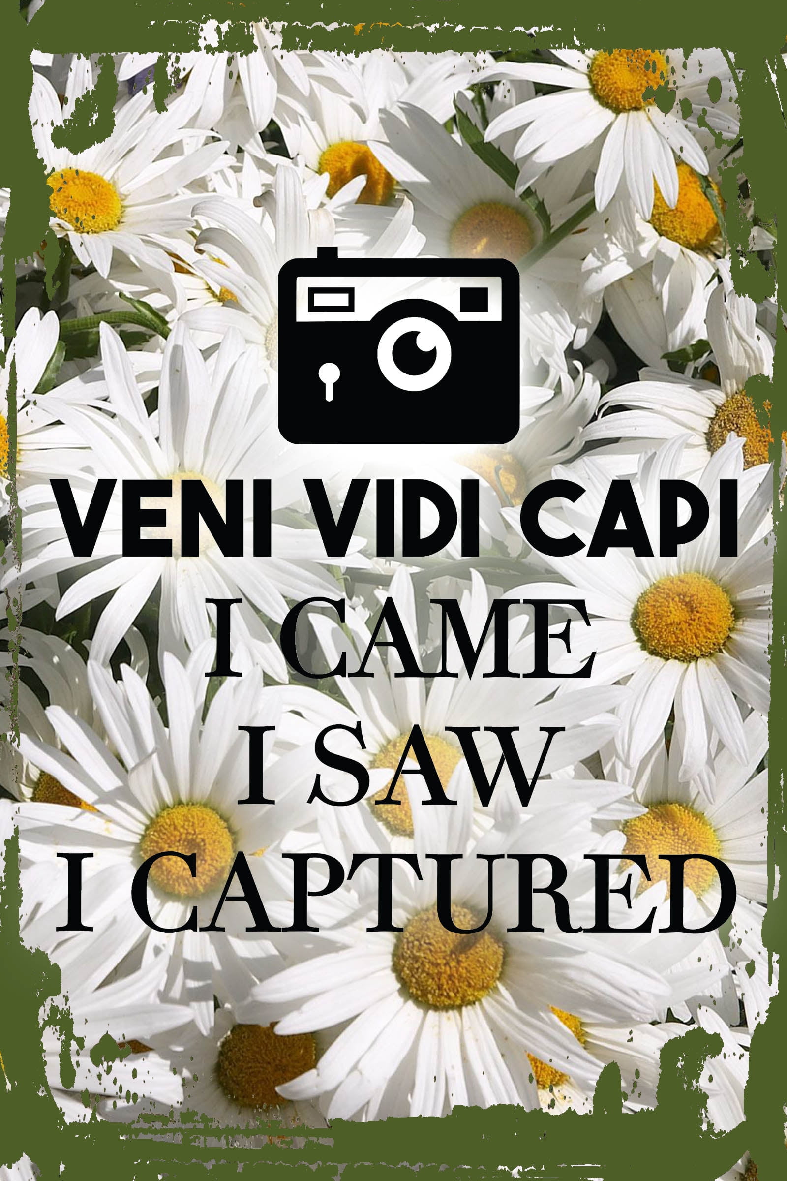Daisy Flower Flat Canvas Wall Art Print Veni vidi capi I came I saw I ...