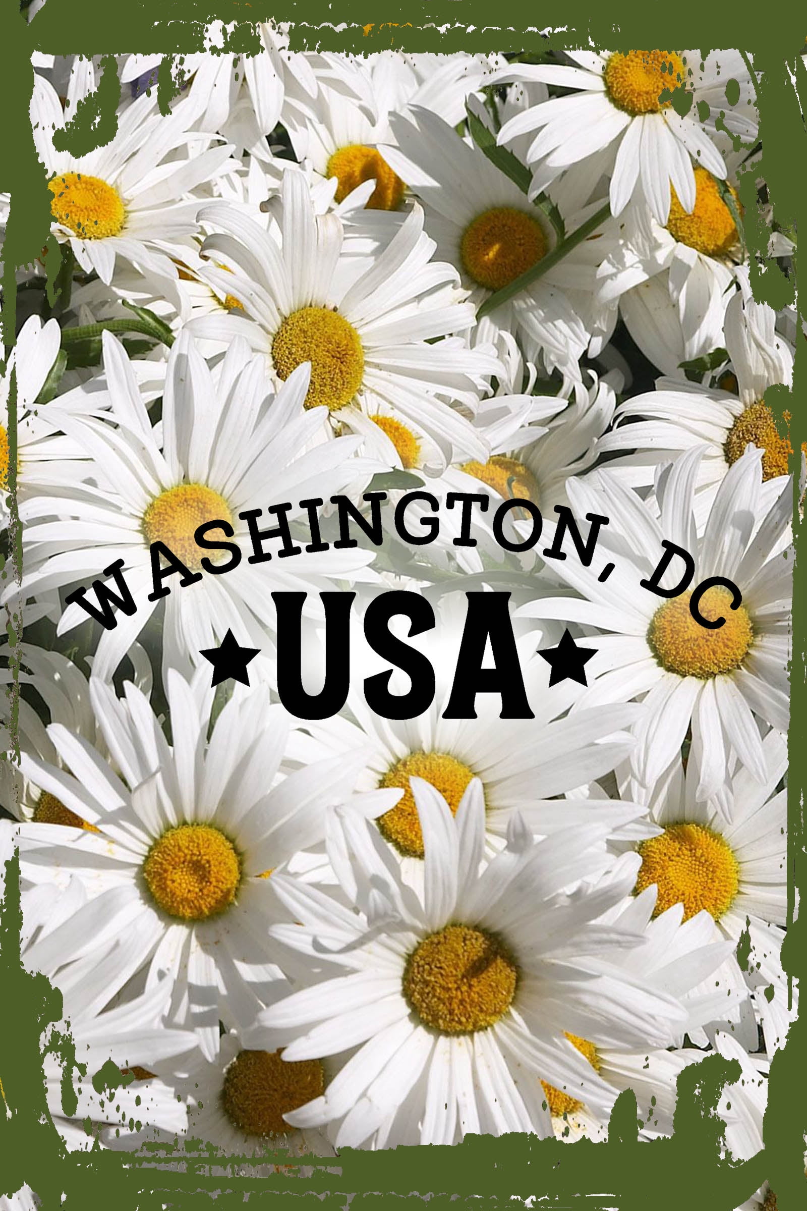 Daisy Flower Flat Canvas Wall Art Print Washington, DC USA stars ...