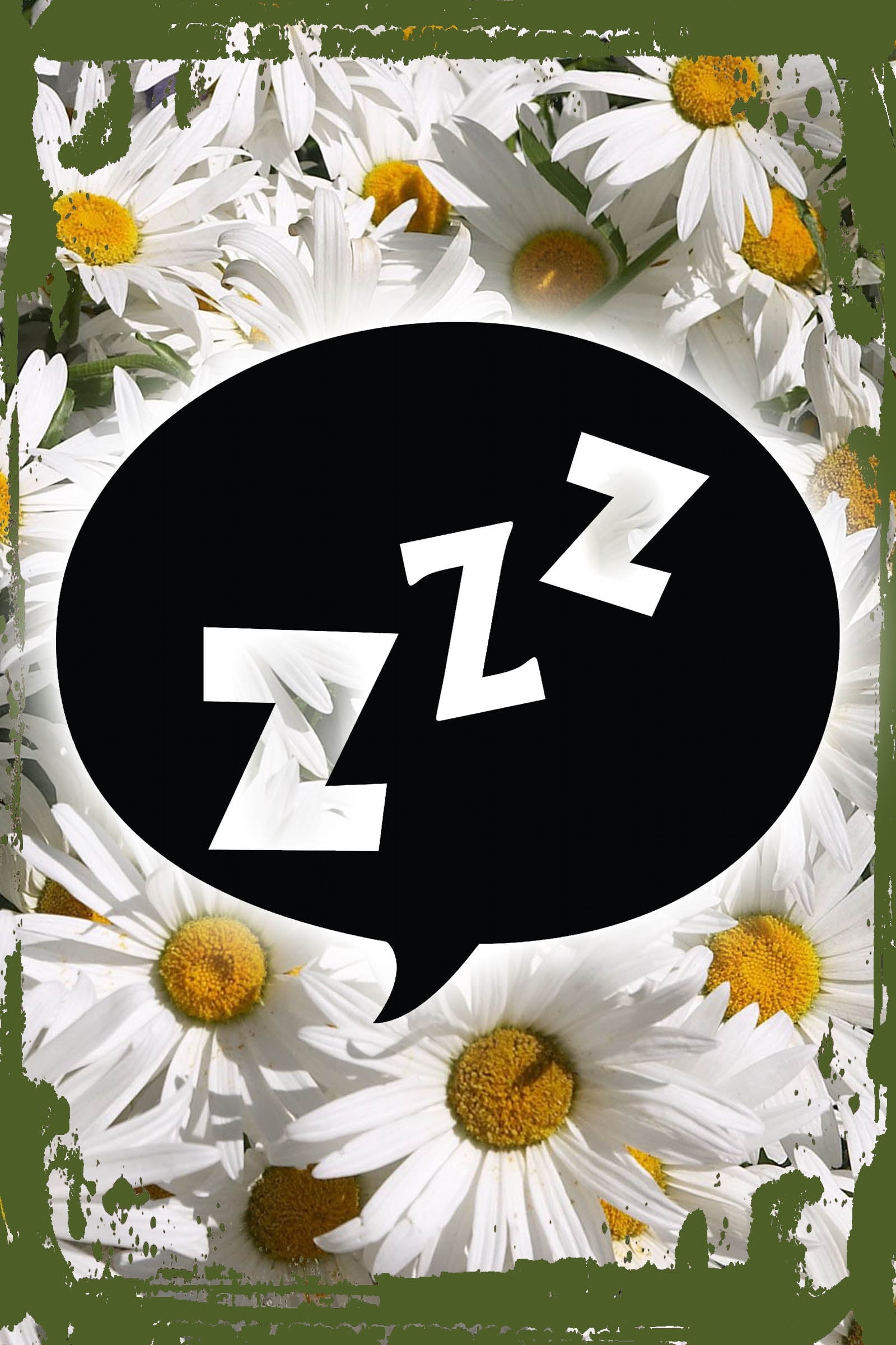 Daisy Flower Flat Canvas Wall Art Print Zzz quote sleepy tired ...