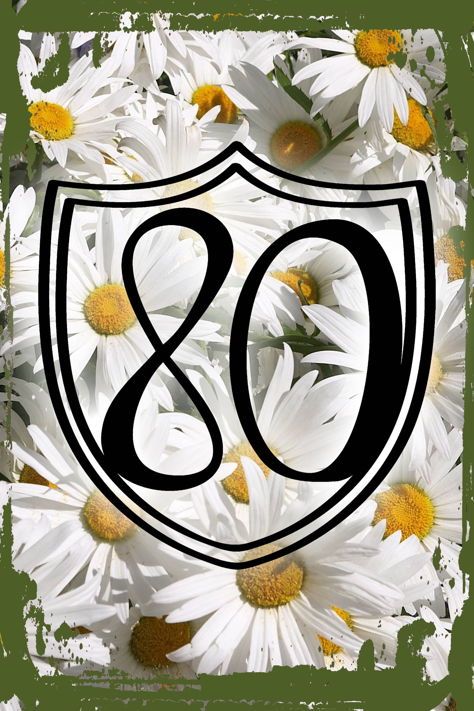 Daisy Flower Wall Art 80 plaque eighty birthday getting older celebrate ...