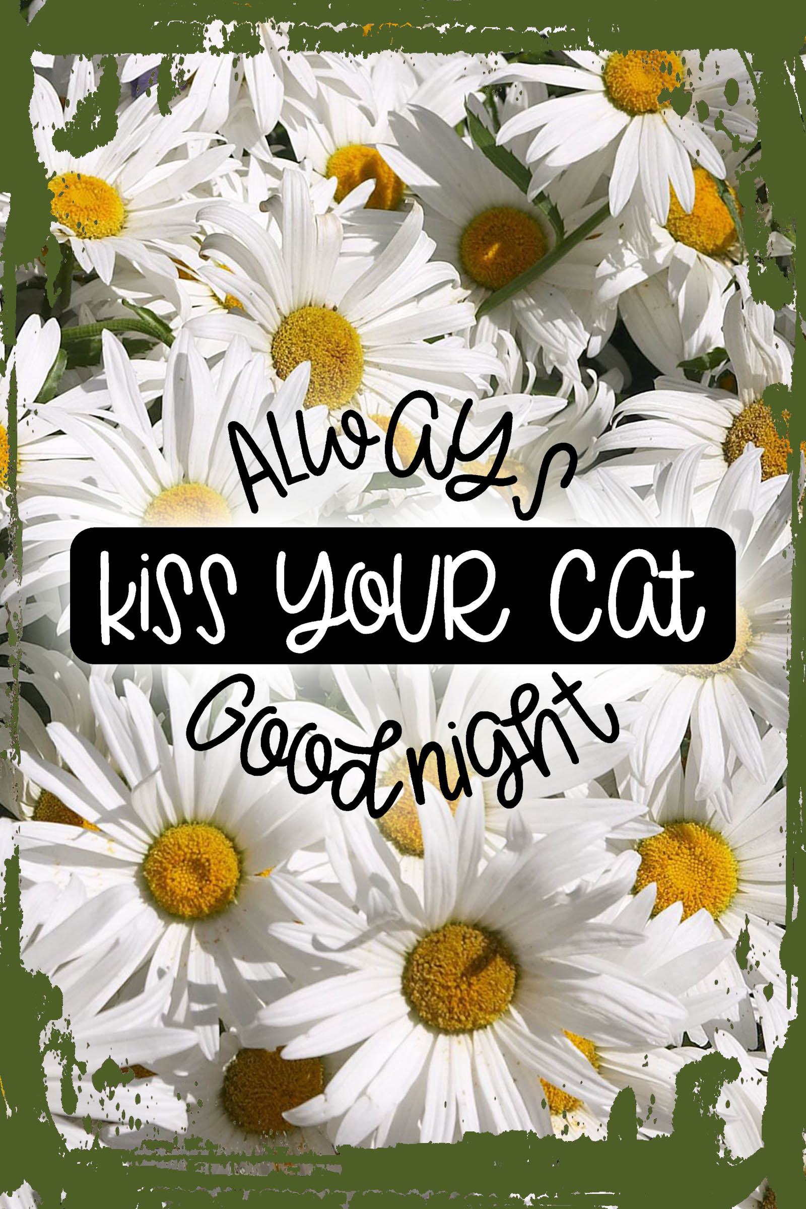 Daisy Flower Wall Art Always kiss your cat goodnight funky cursive love ...