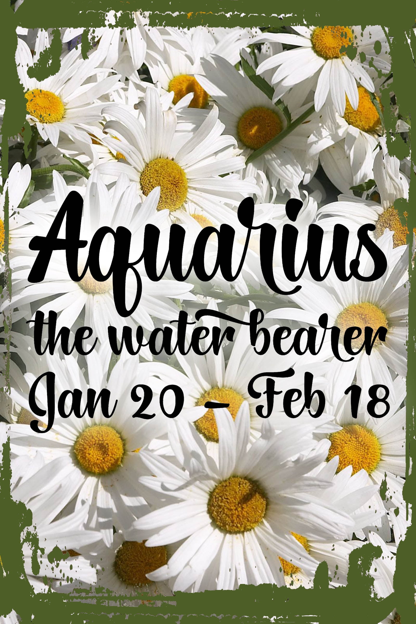 Daisy Flower Wall Art Aquarius the water bearer Jan 20-Feb 18 cursive ...