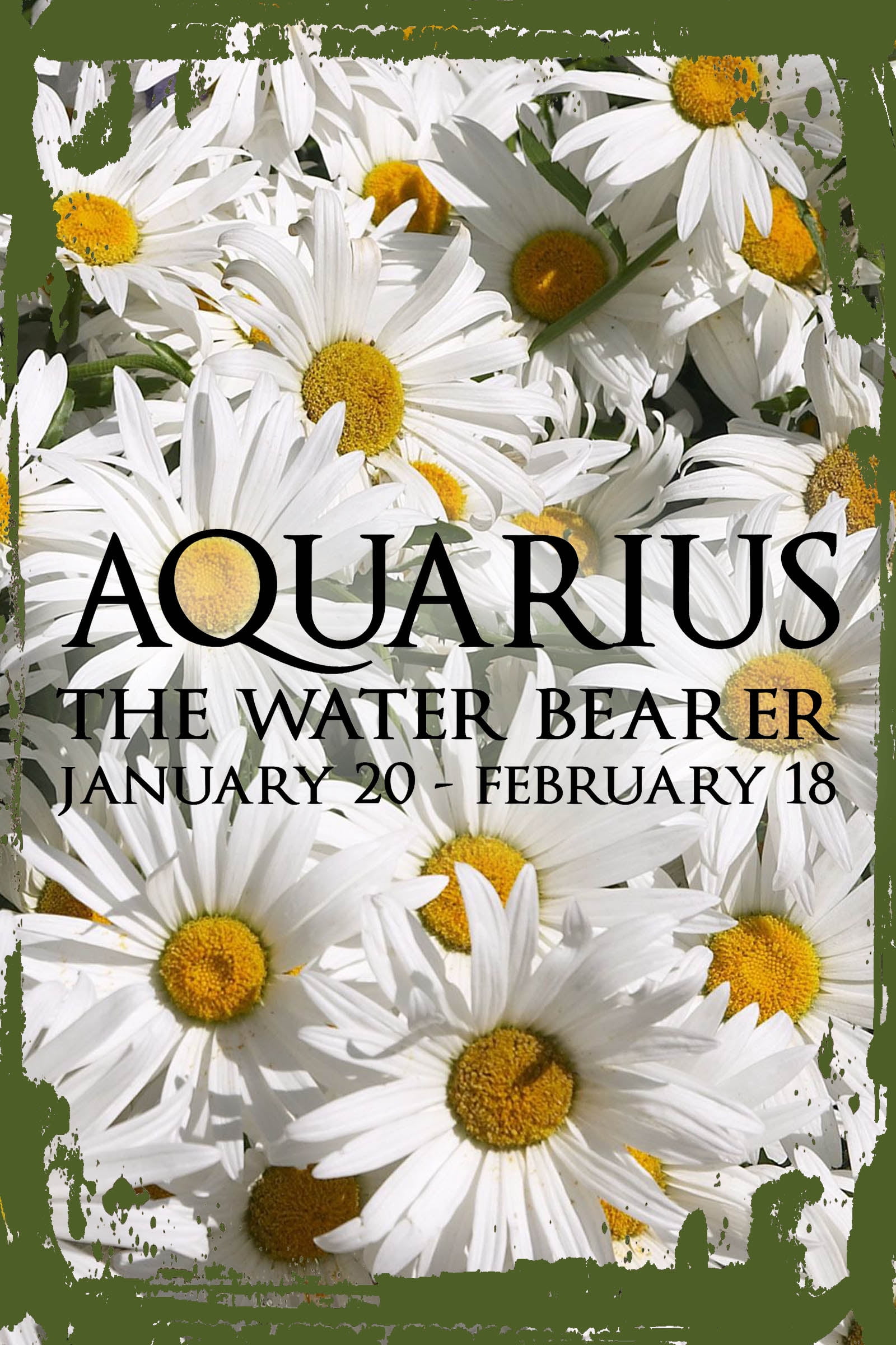Daisy Flower Wall Art Aquarius the water bearer caps Jan 20-Feb 18 ...