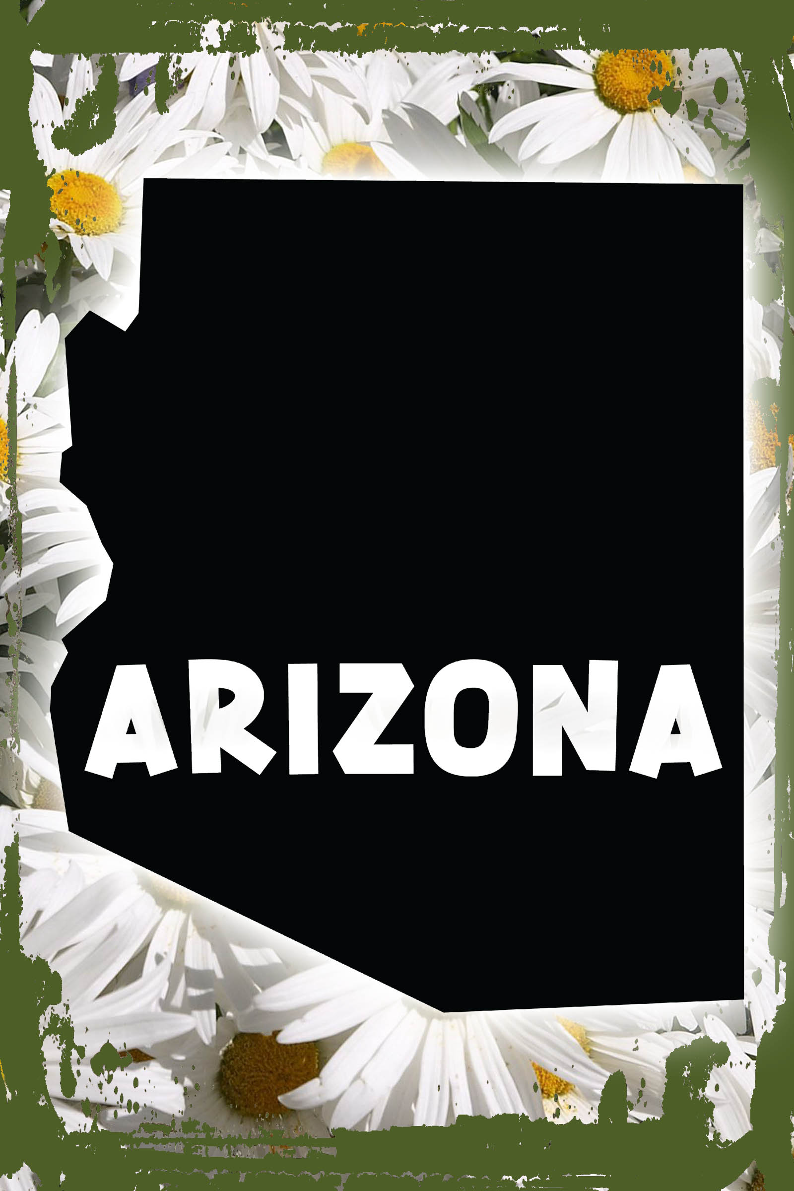 Daisy Flower Wall Art Arizona state home map hometown caps Hanging Wall ...