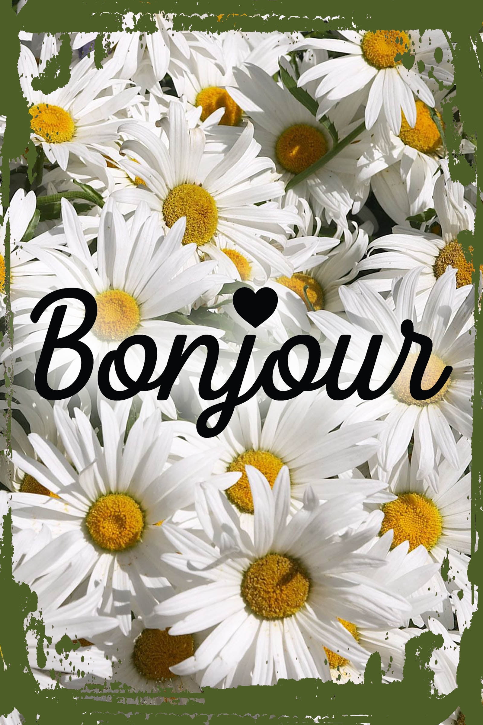 Daisy Flower Wall Art Bonjour heart cursive hello french greetings ...