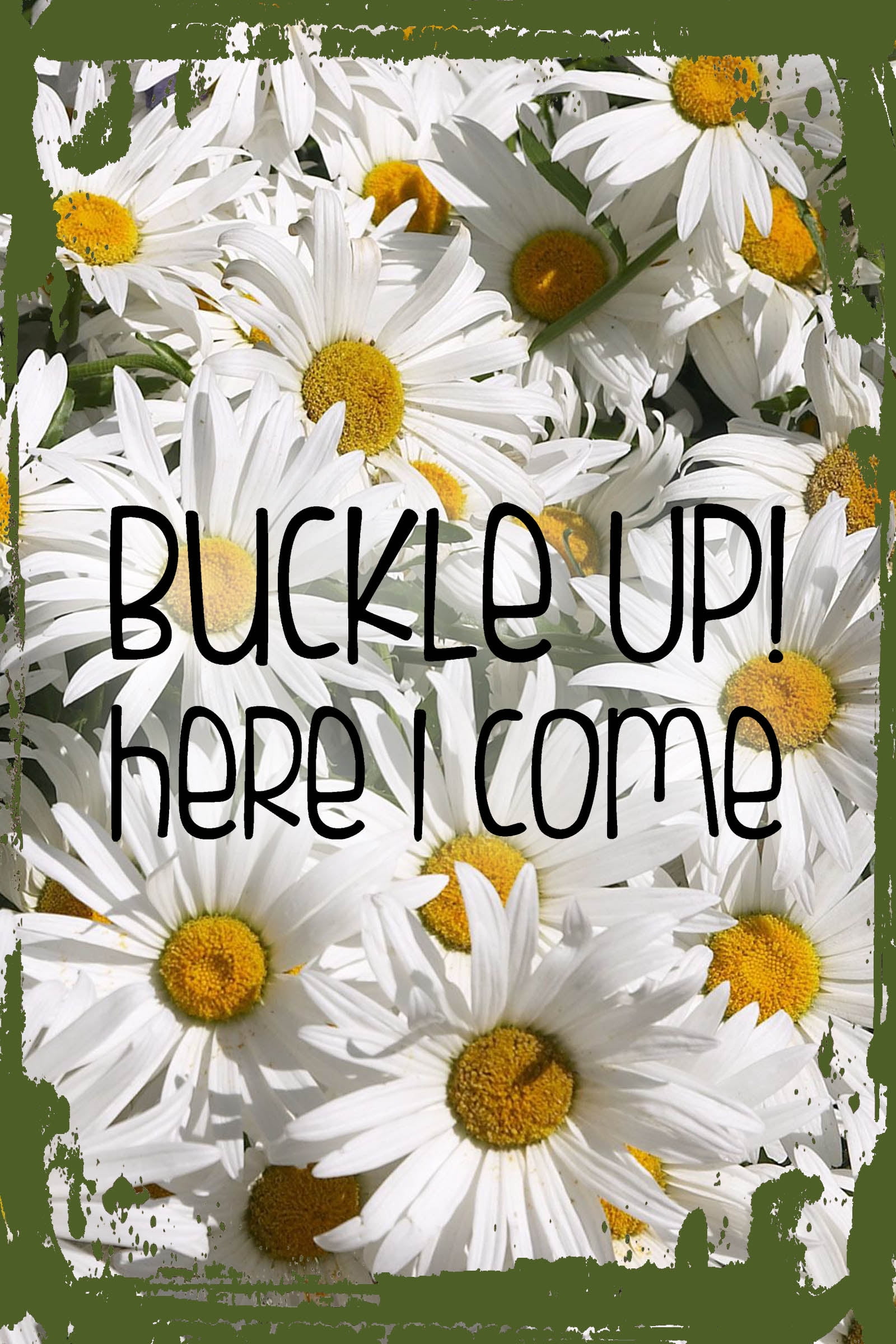 Daisy Flower Wall Art Buckle up here I come funny new driver caution ...