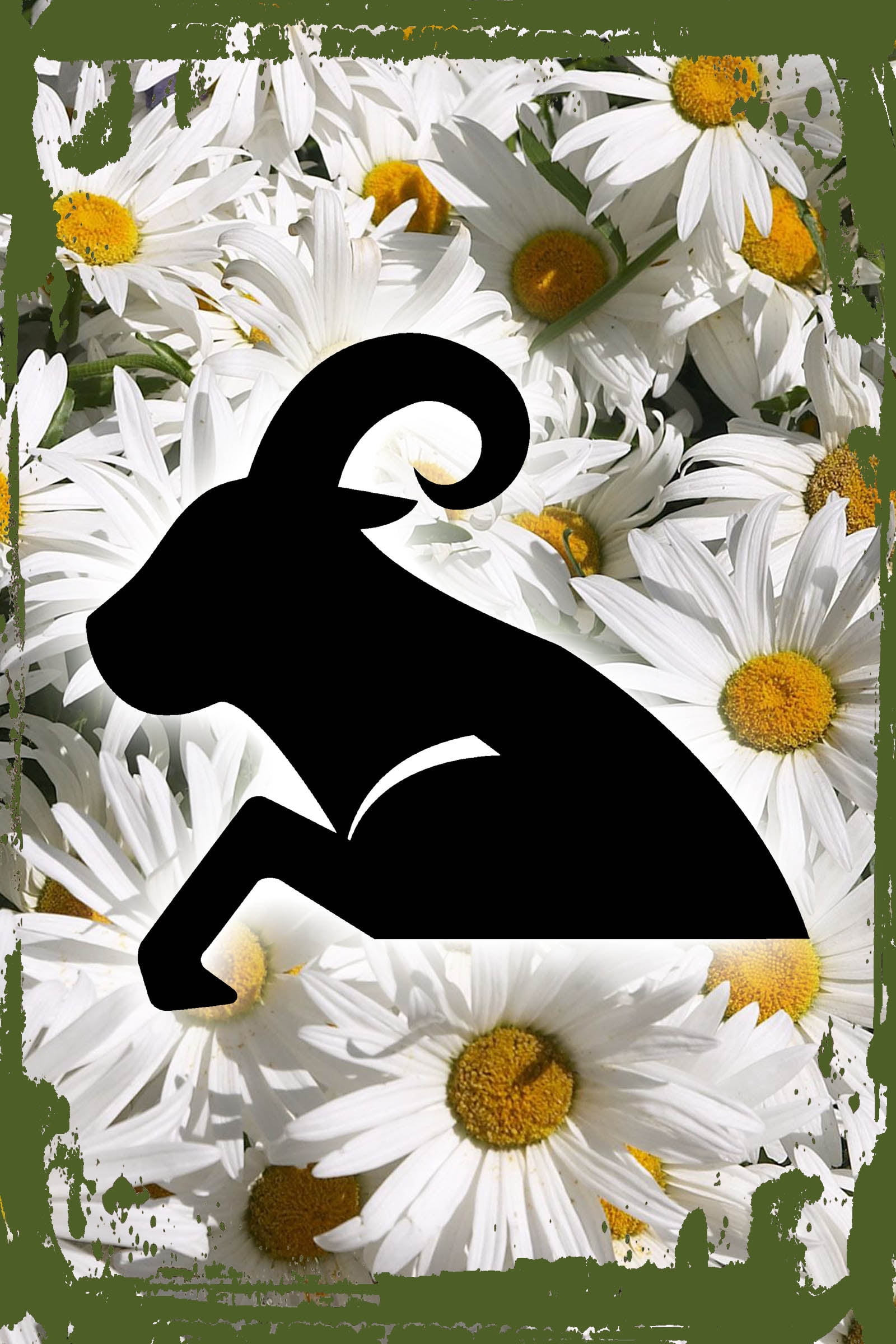 Daisy Flower Wall Art Capricorn seagoat symbol Dec 22- Jan 19 zodiac ...