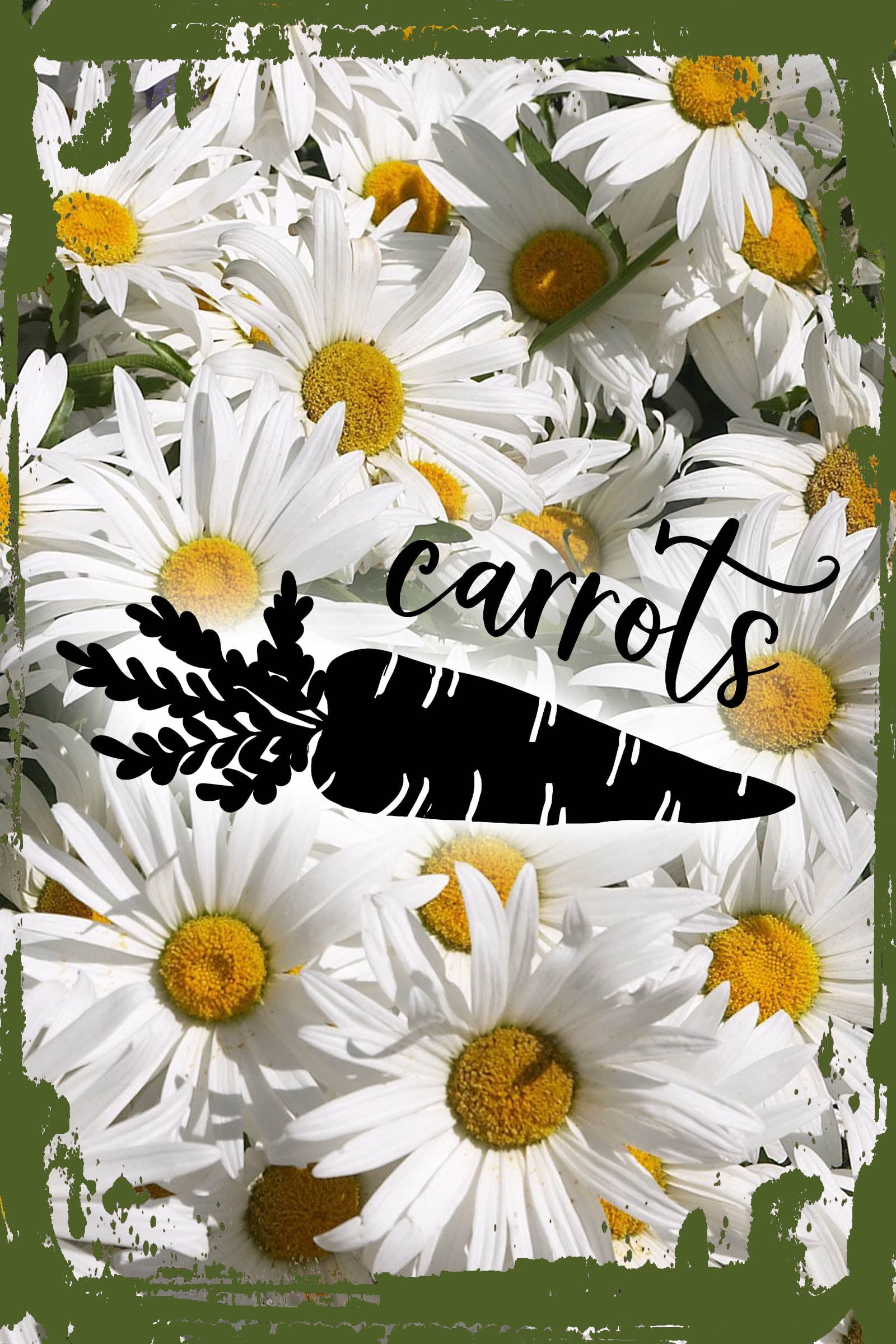 Daisy Flower Wall Art Carrots sign carrot fruit & vegetables gardening ...
