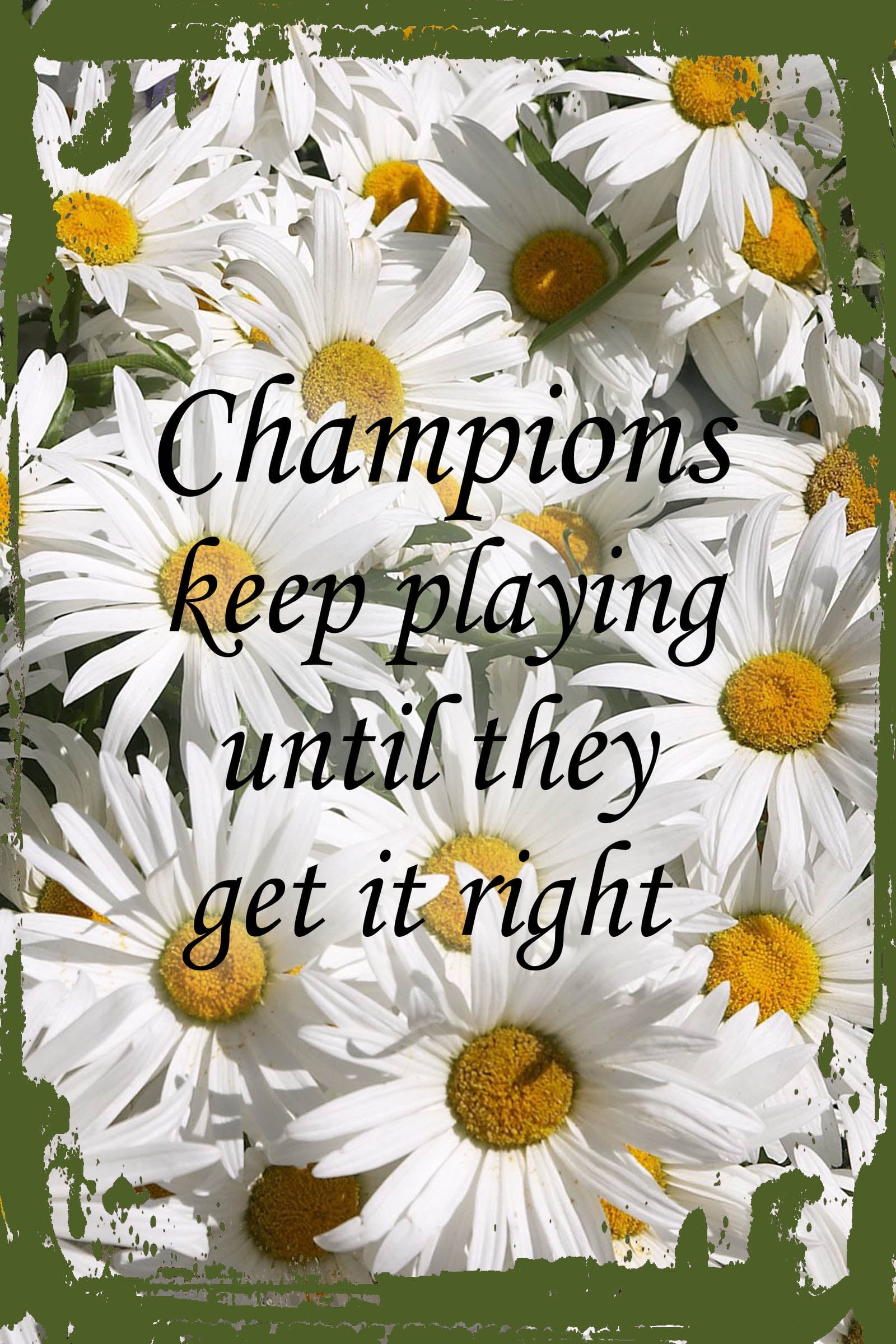 Daisy Flower Wall Art Champions Keep Playing Until They Get it Right ...