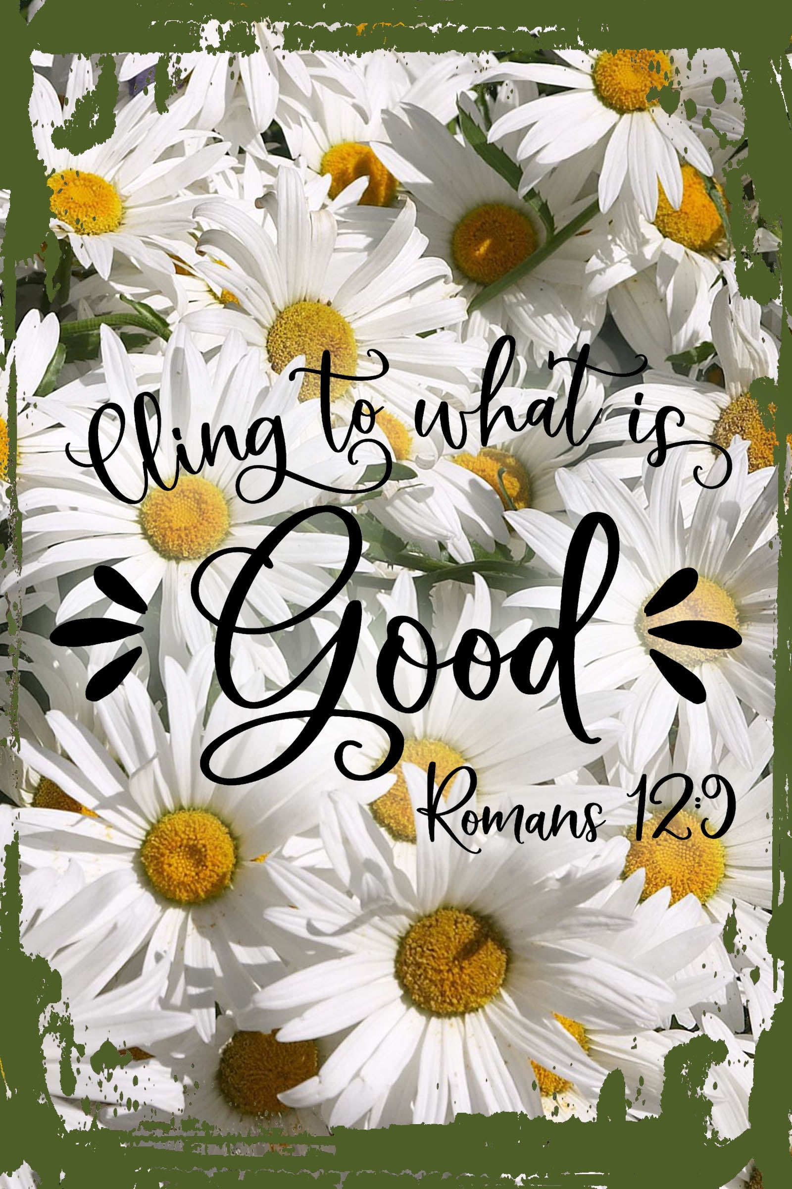 Daisy Flower Wall Art Cling to what is good romans bible verse ...