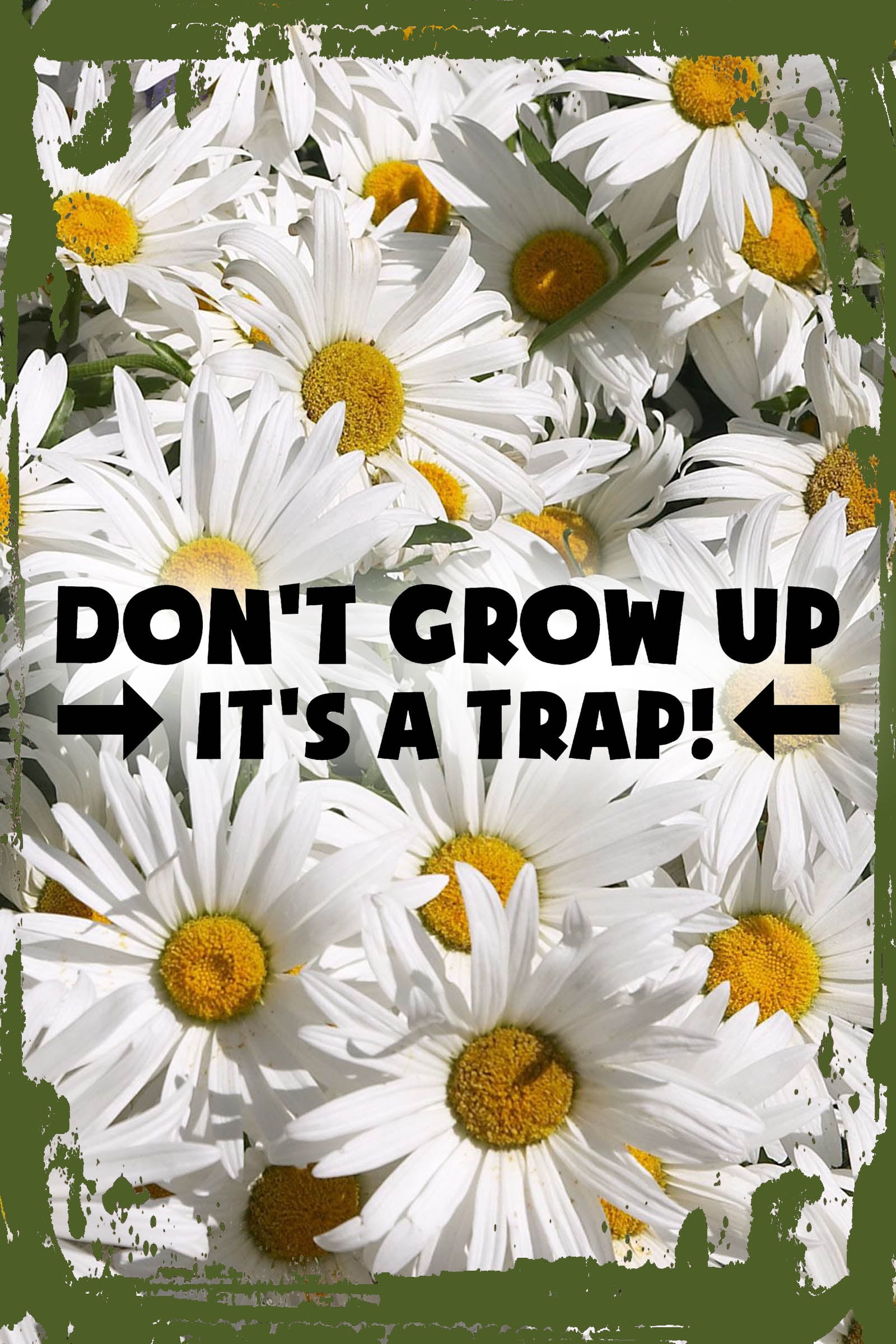 Daisy Flower Wall Art Donâ€™t grow up itâ€™s a trap! adulting funny ...