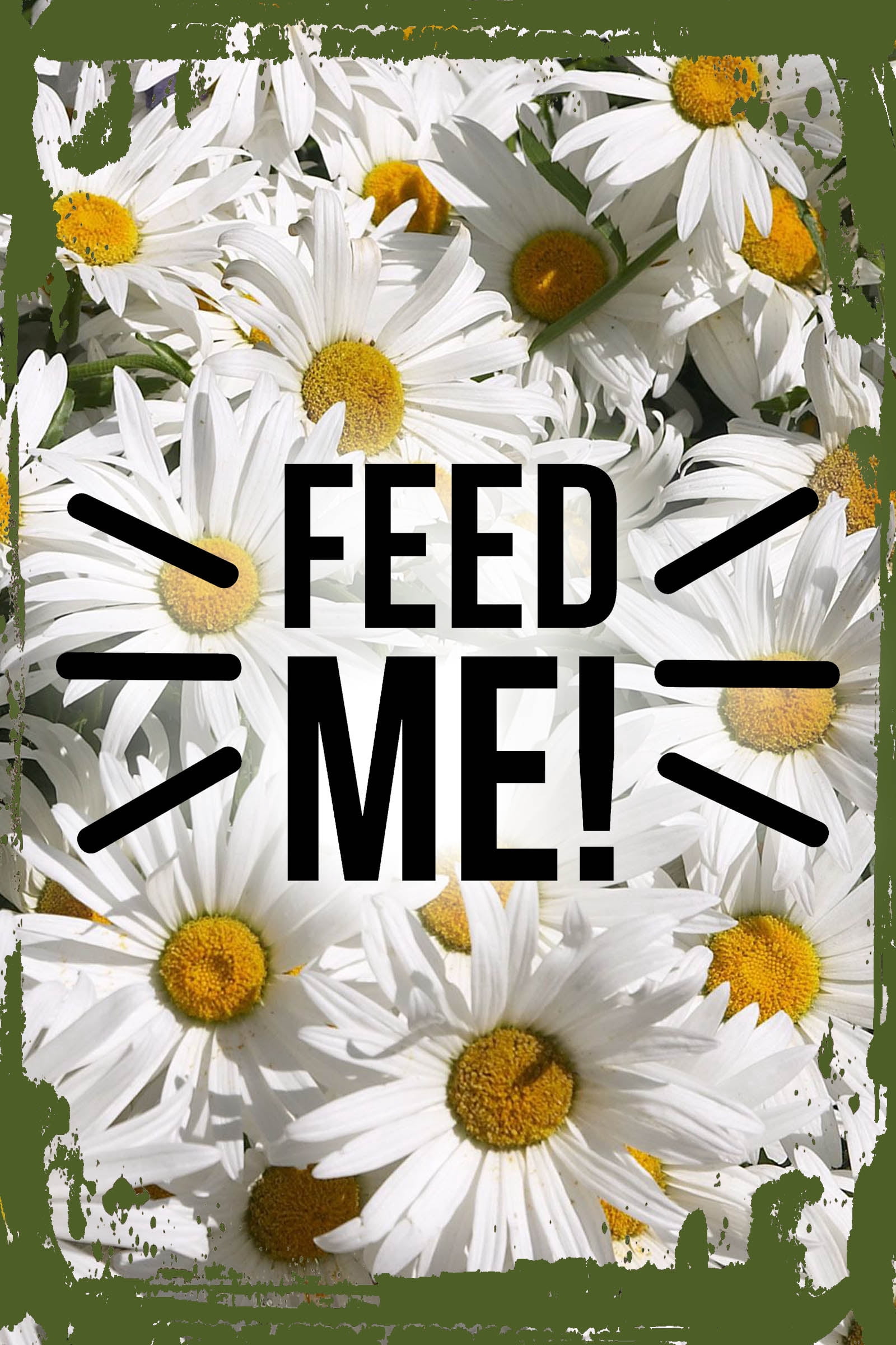 Daisy Flower Wall Art Feed me! flash caps funny food hangry hungry ...