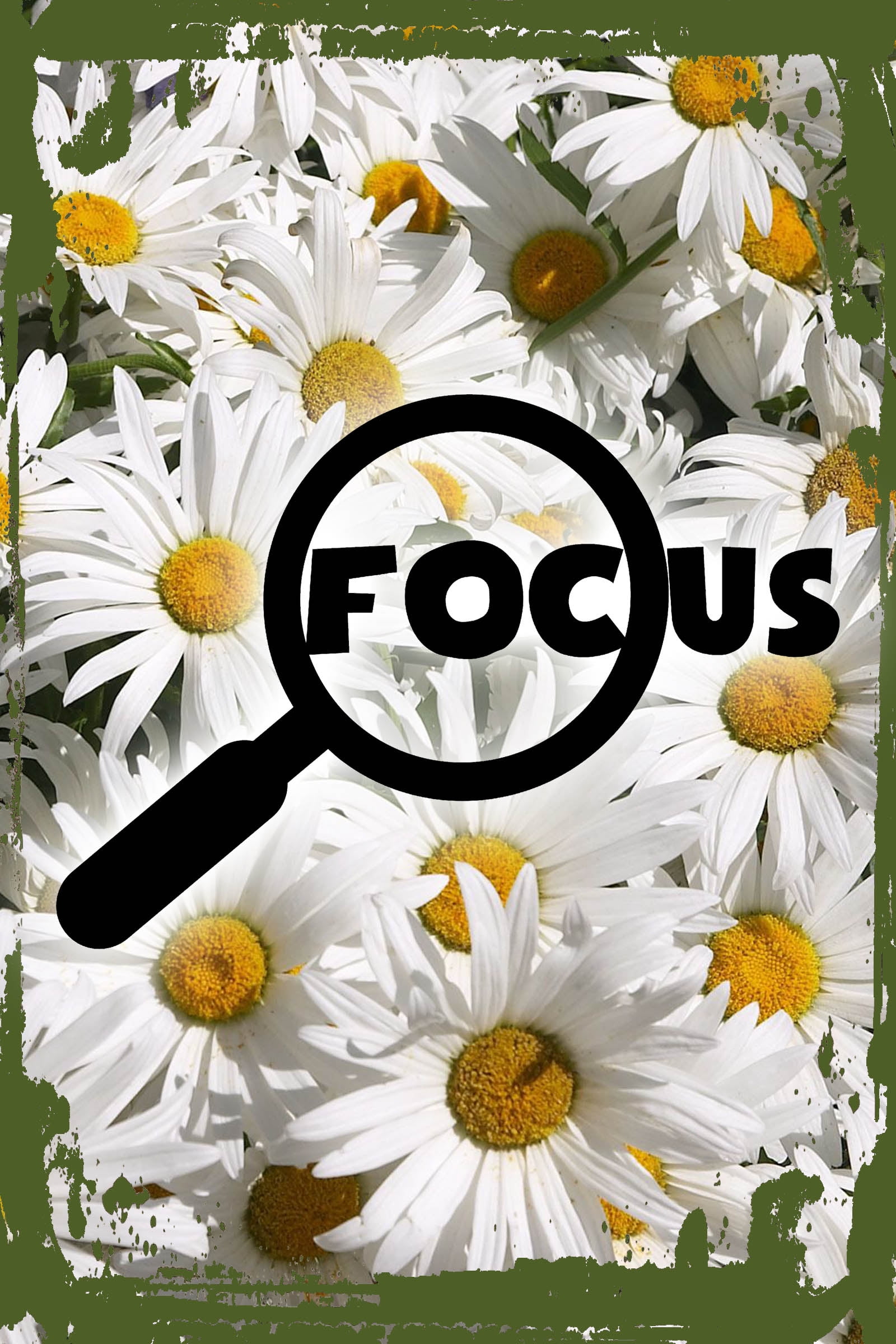 Daisy Flower Wall Art Focus magnifying glass teacher lessons learning ...