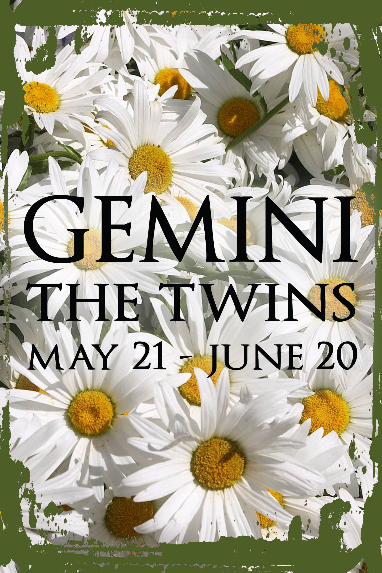 Daisy Flower Wall Art Gemini the twins caps May 21-June 20 zodiac sign ...