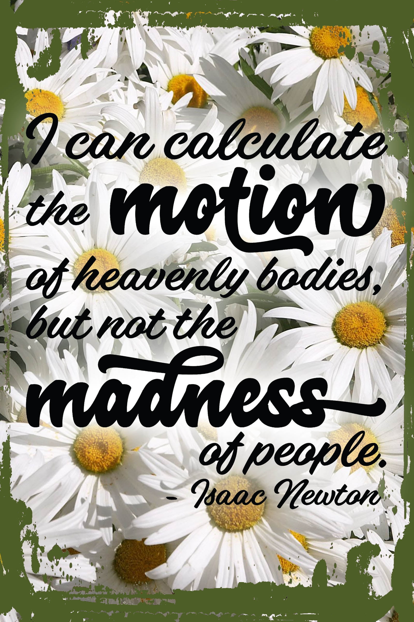 Daisy Flower Wall Art I can calculate the motion of heavenly bodiesâ ...