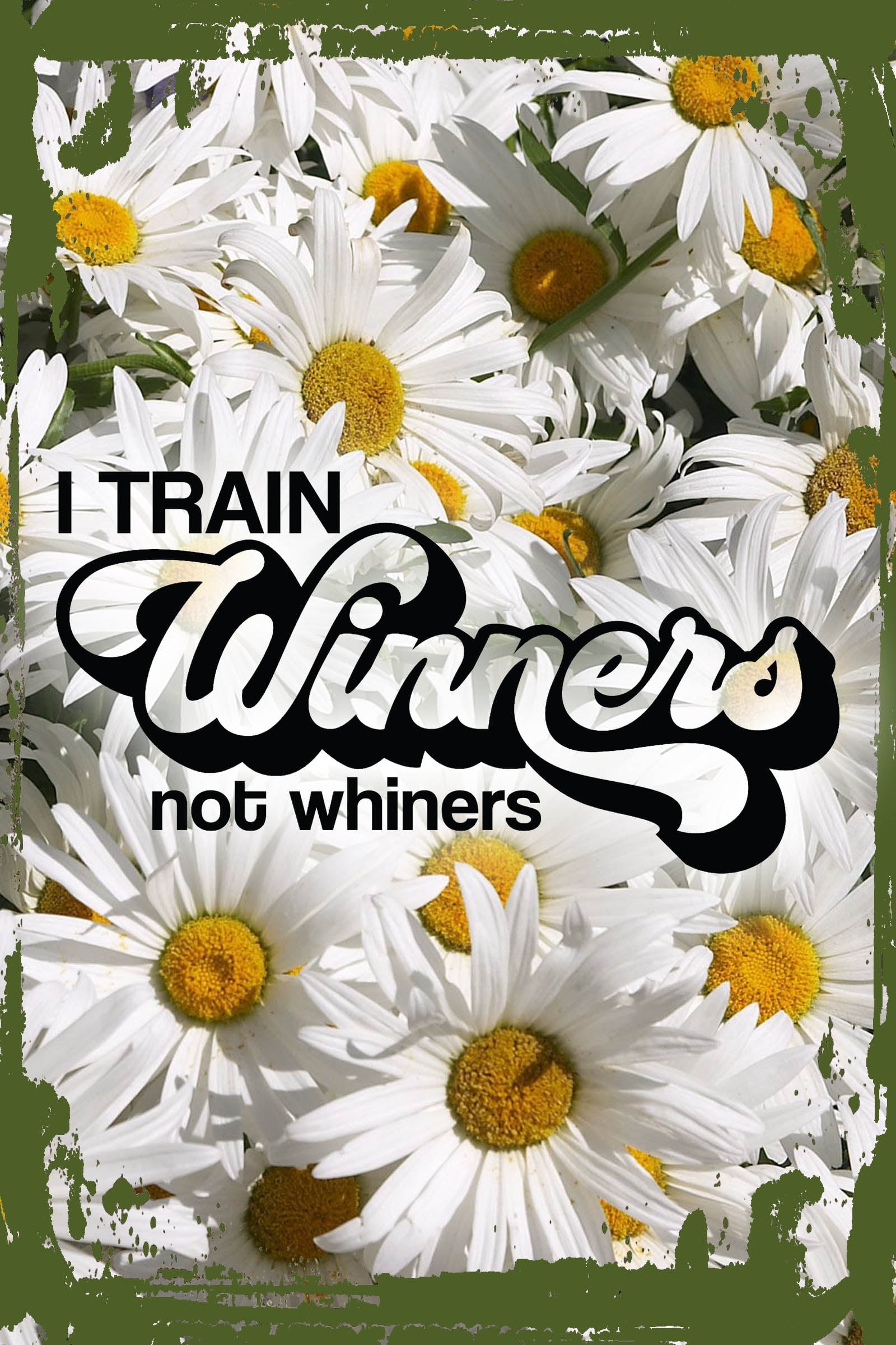 Daisy Flower Wall Art I train winners not whiners funny personal ...