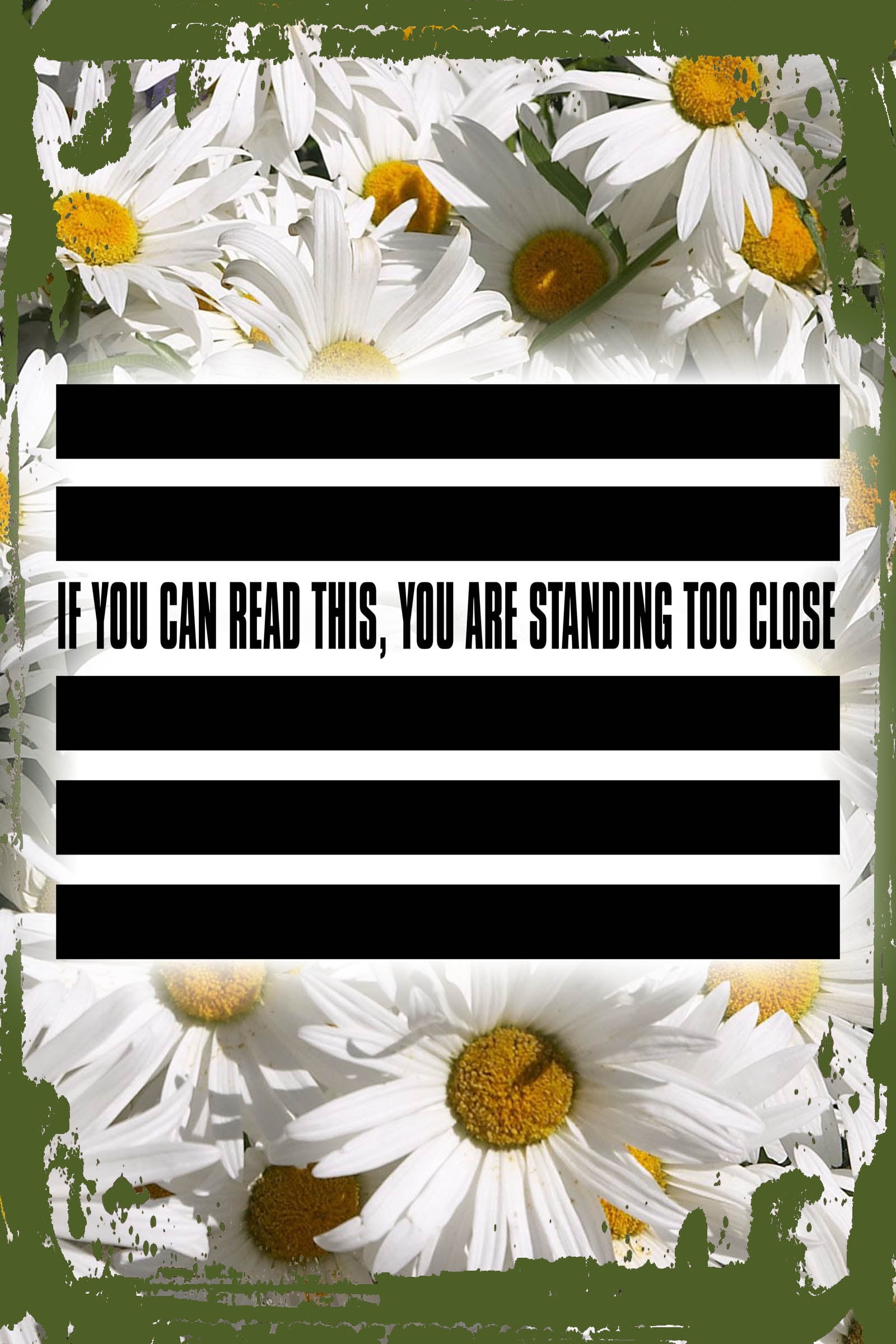 Daisy Flower Wall Art If You Can Read This You Are Standing Too Close ...