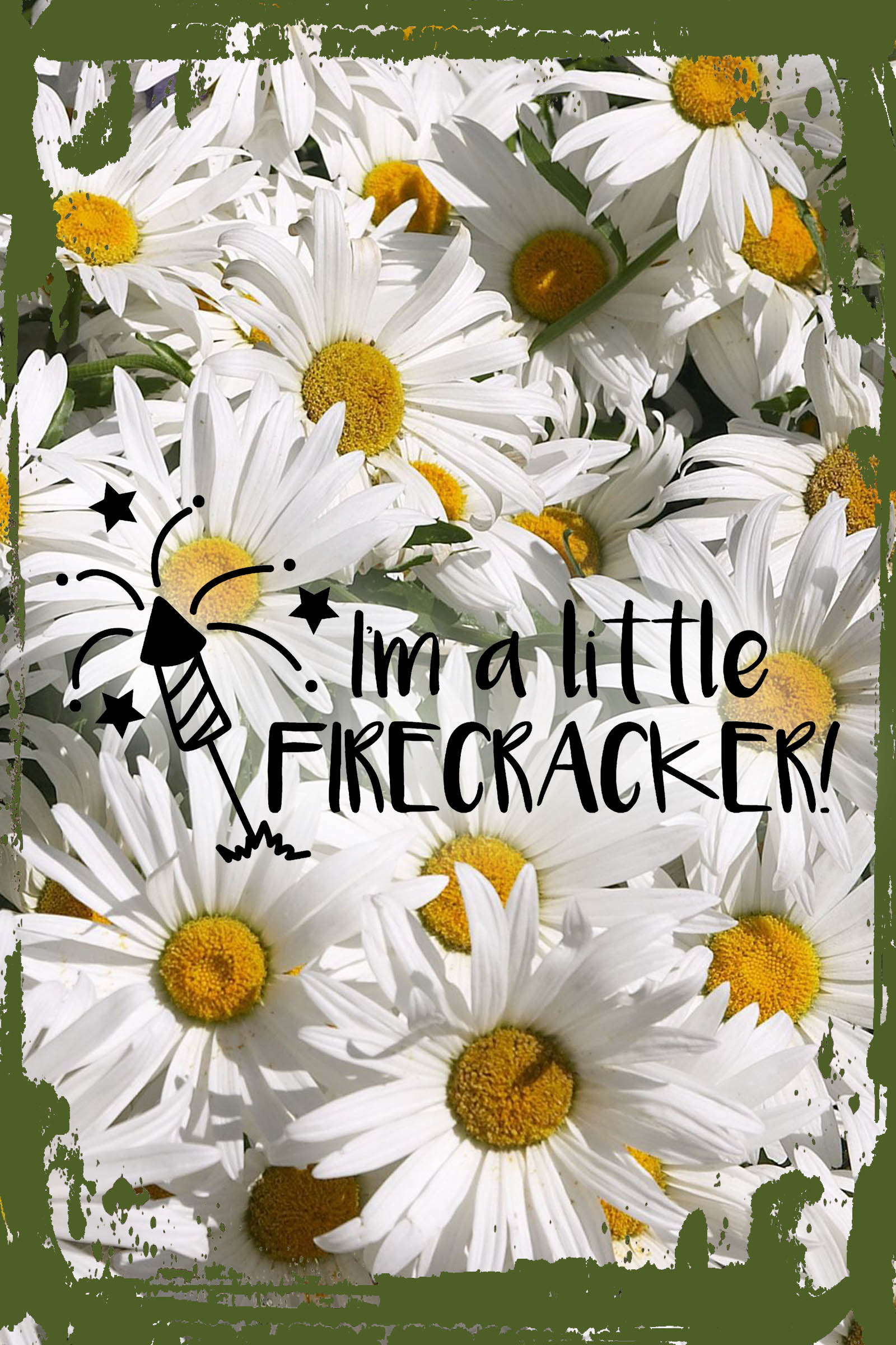 Daisy Flower Wall Art Im a little firecracker! fireworks cute kid child ...