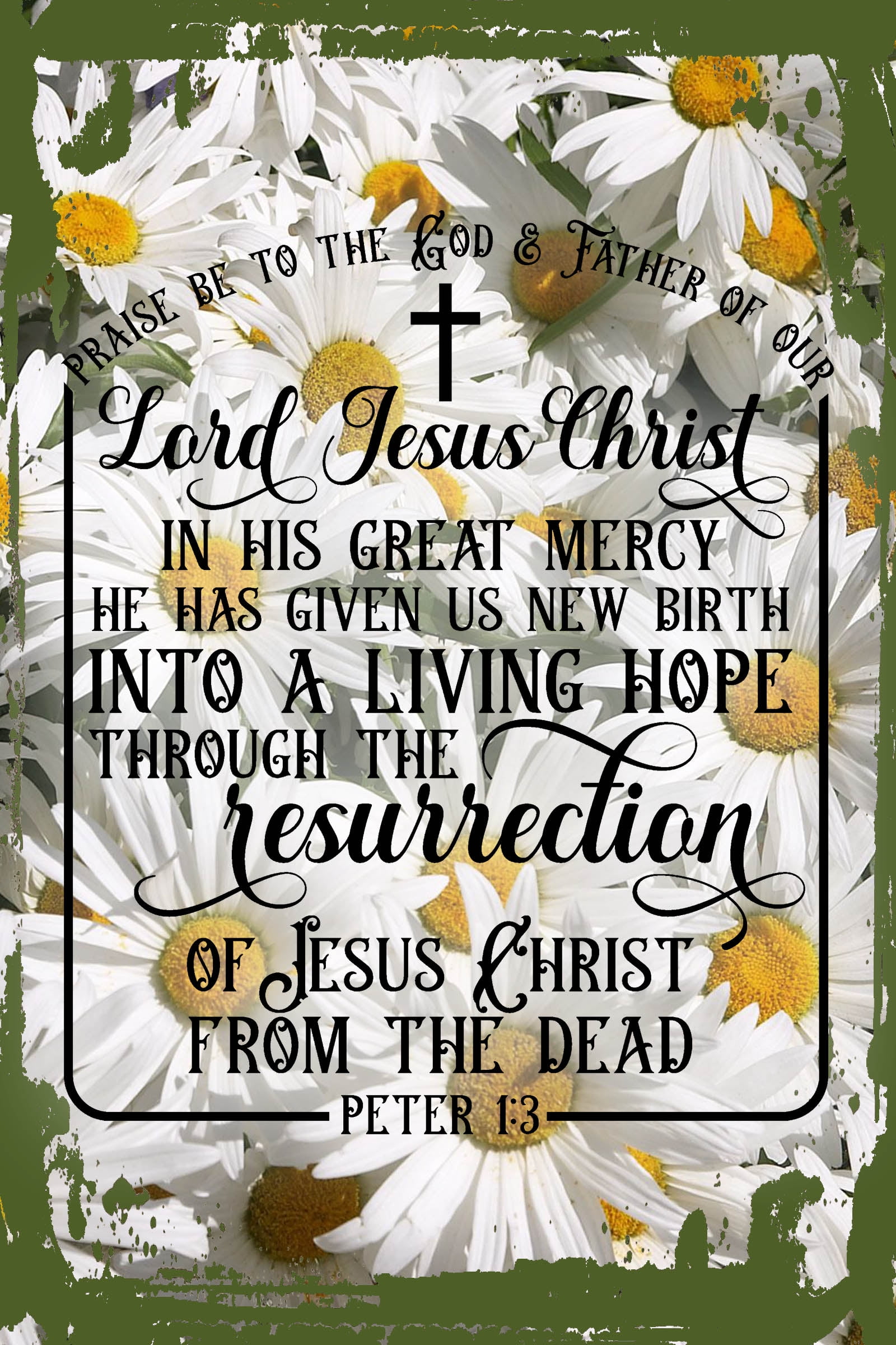 Daisy Flower Wall Art In his great mercy he has given us new birth ...