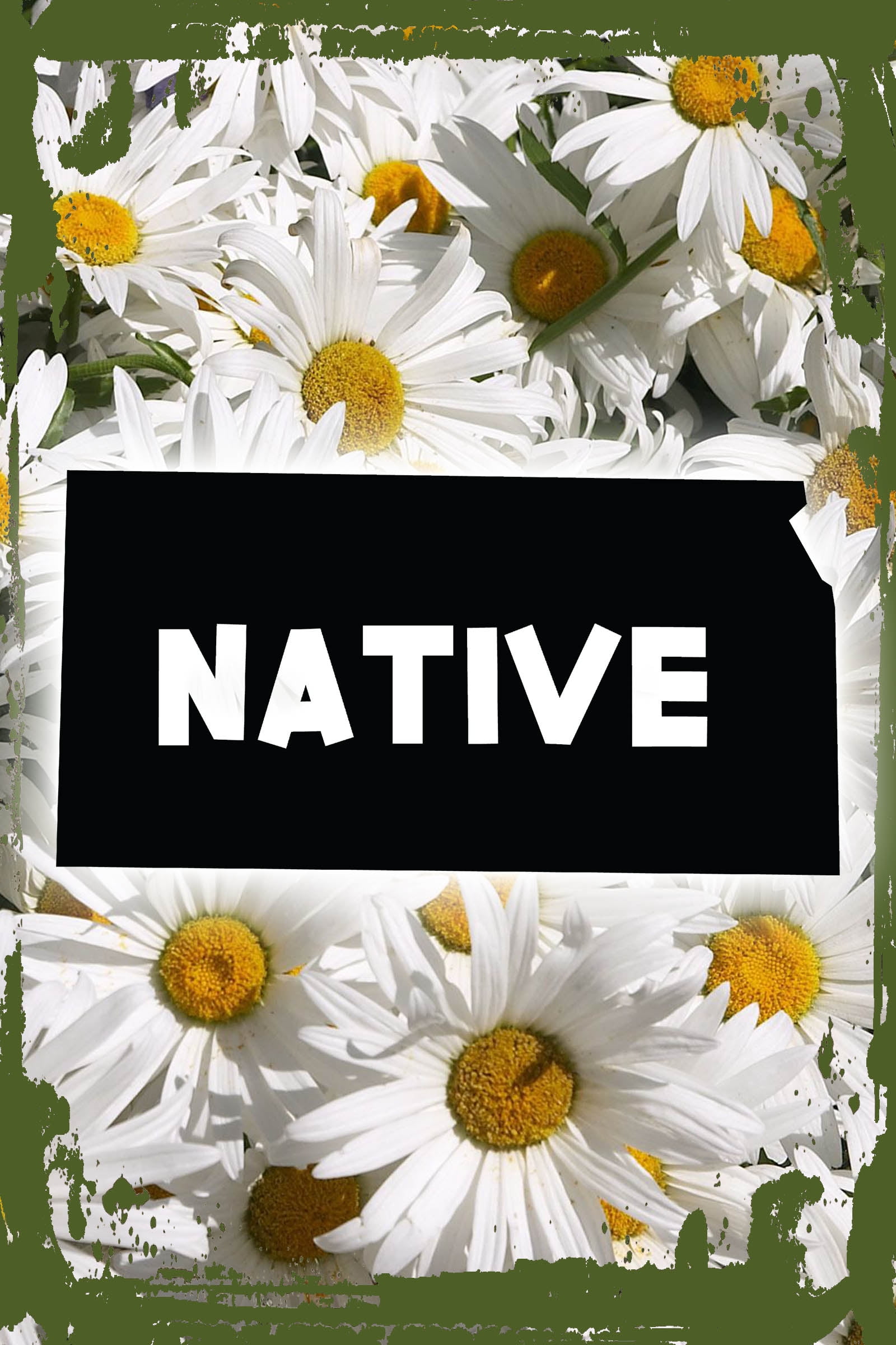 Daisy Flower Wall Art Kansas native caps home hometown united states ...