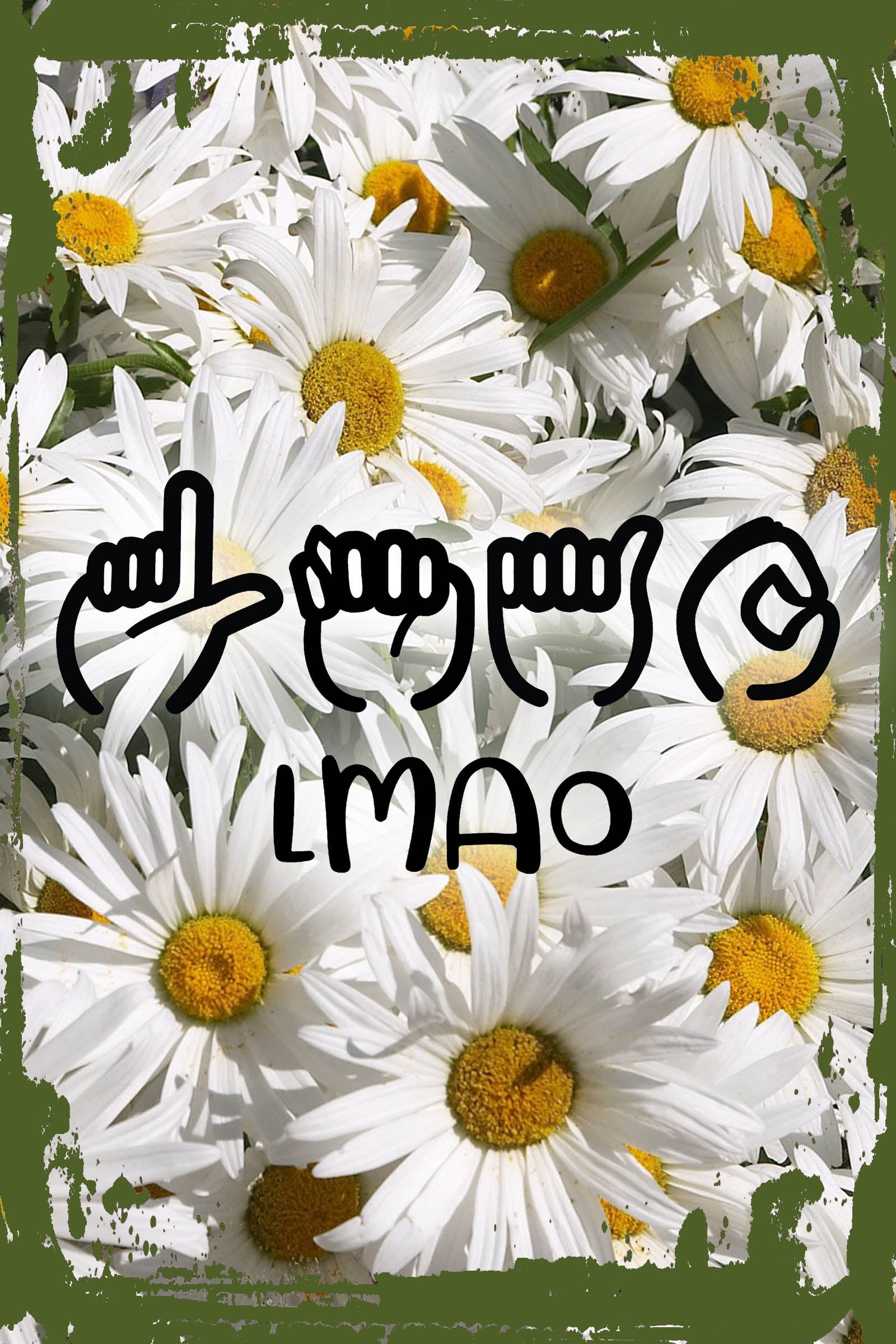 Daisy Flower Wall Art LMAO sign language ASL hands Hanging Wall Sign 8 x 12 Decor Funny Gift ...