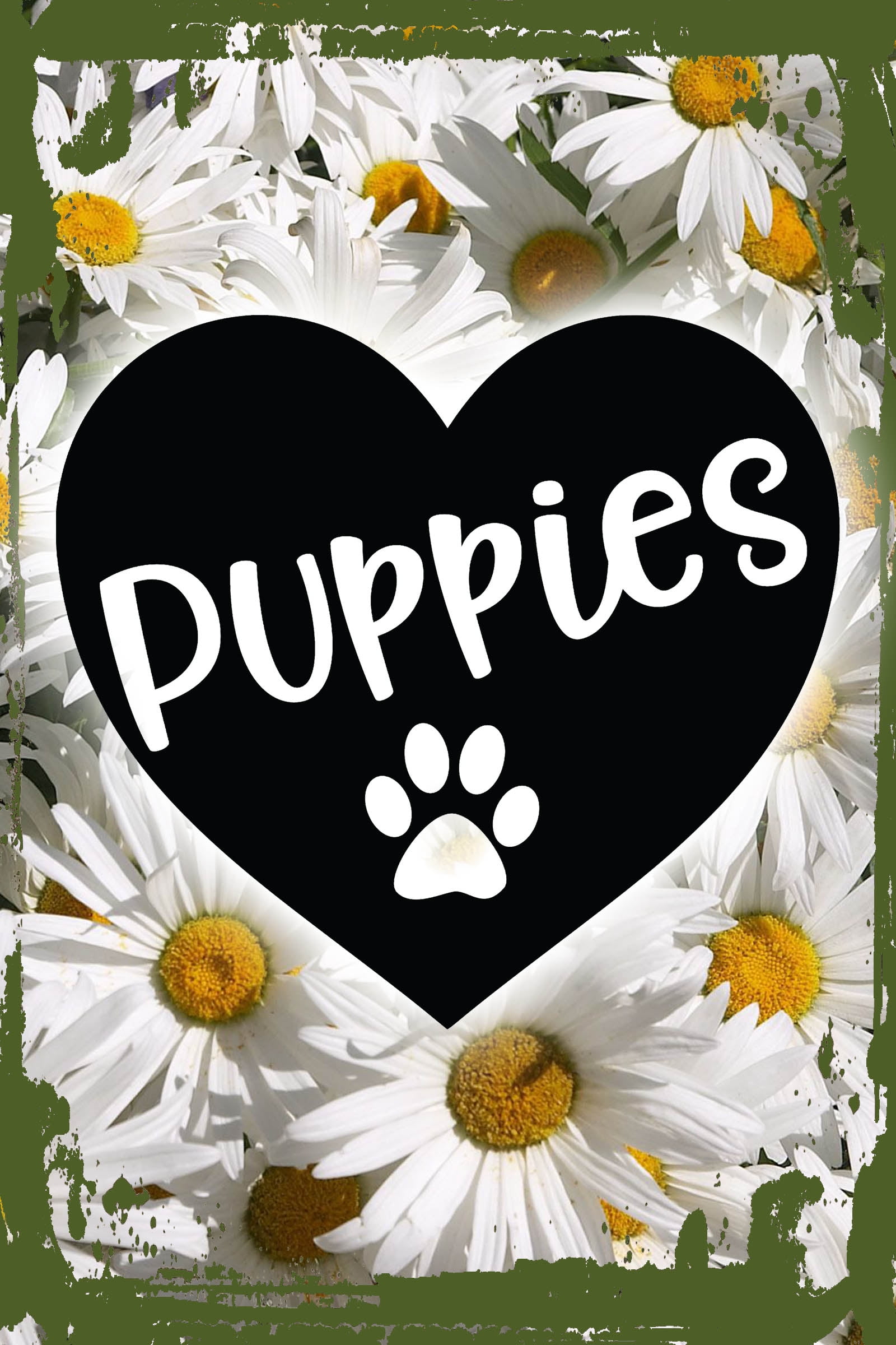 Daisy Flower Wall Art Love puppies heart paw print dogs pet owner ...