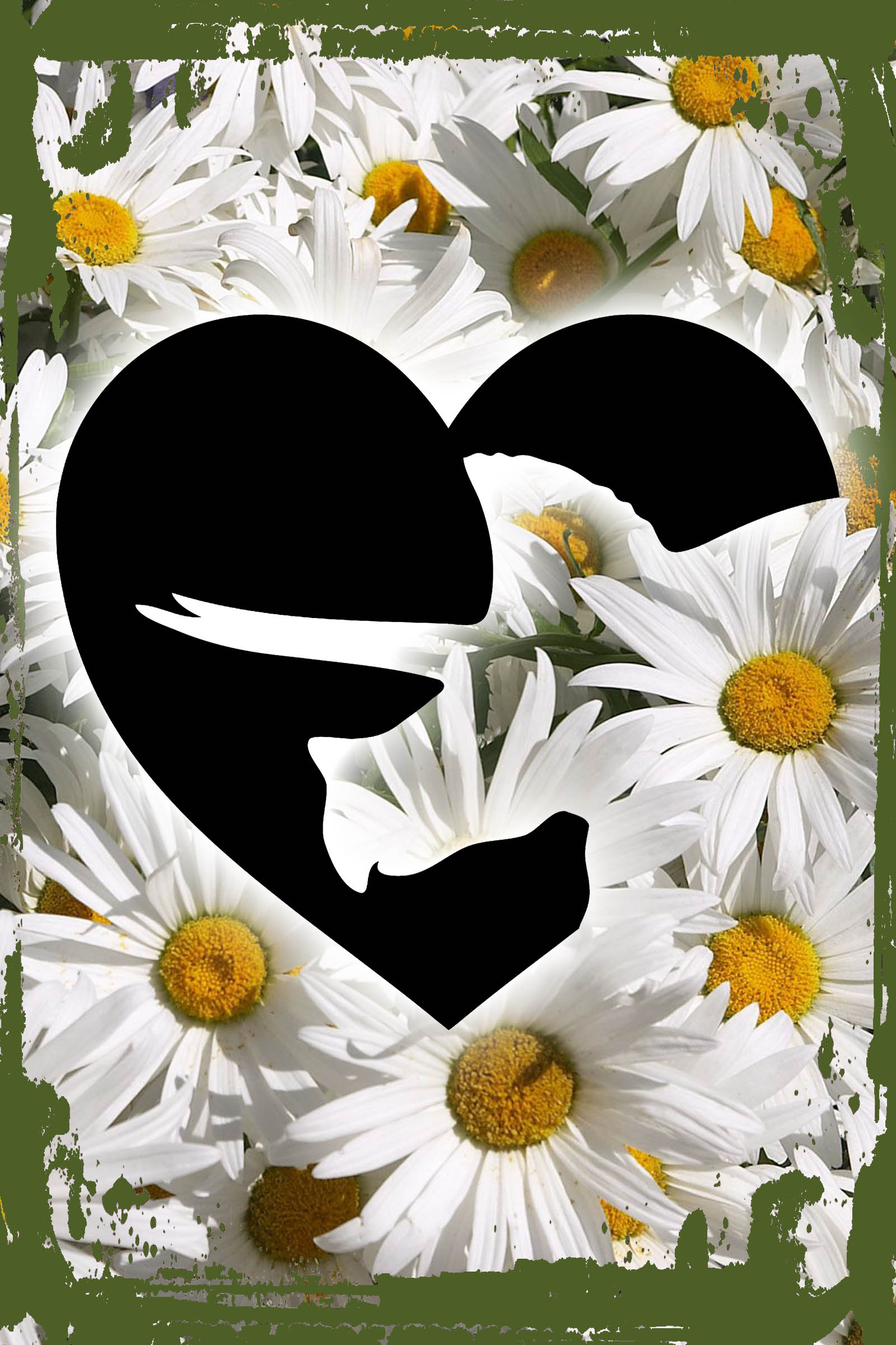 Daisy Flower Wall Art Love stegosaurus dinosaur extinct heart ...