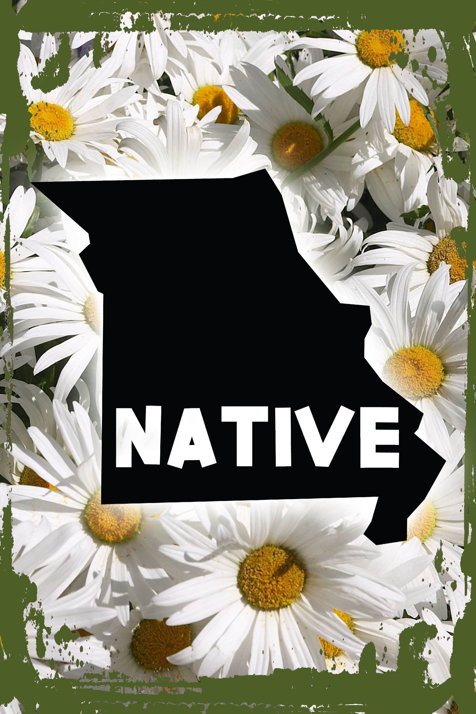 Daisy Flower Wall Art Missouri native caps state map home hometown love ...