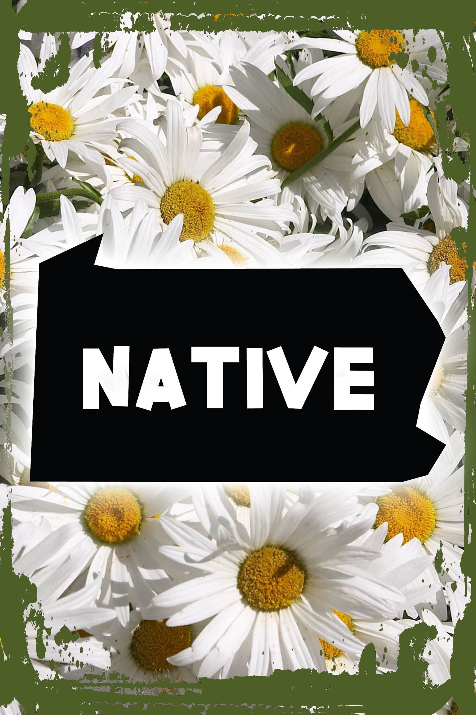 Daisy Flower Wall Art Pennsylvania native caps state map home hometown ...