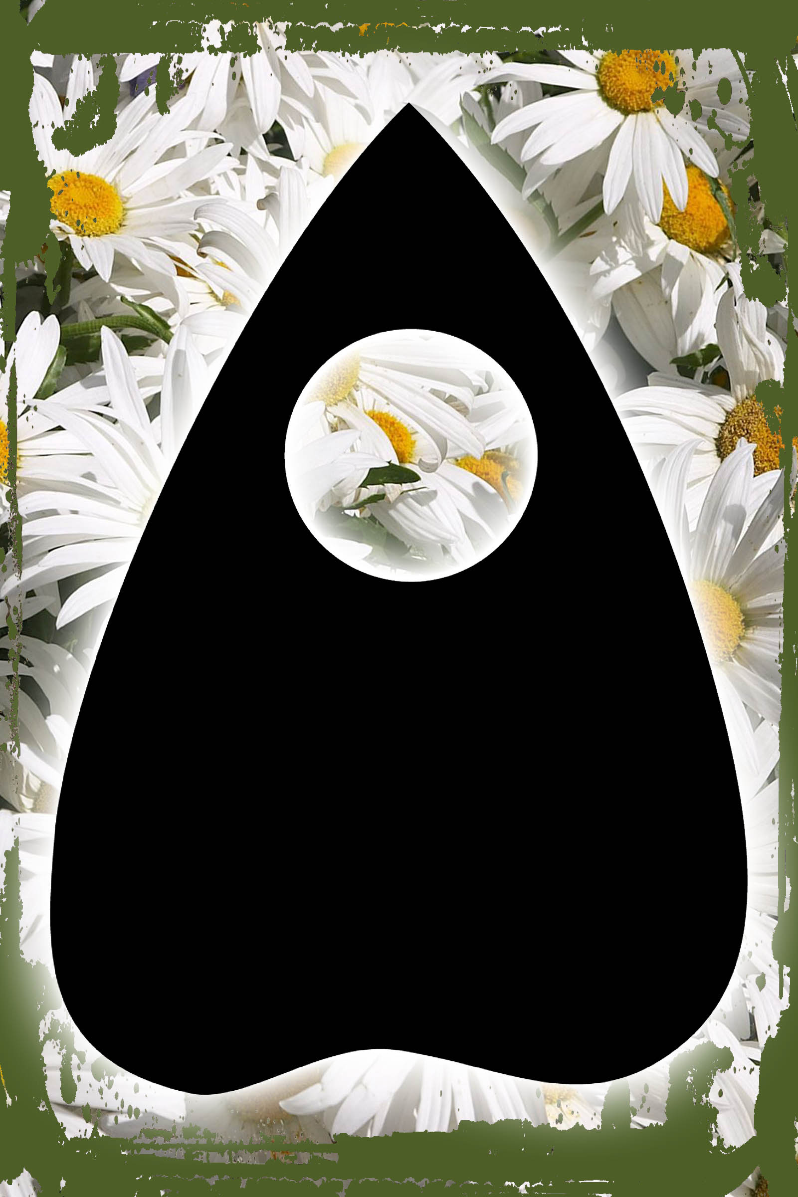 Daisy Flower Wall Art Planchett ouija board summon ghosts spirits ...