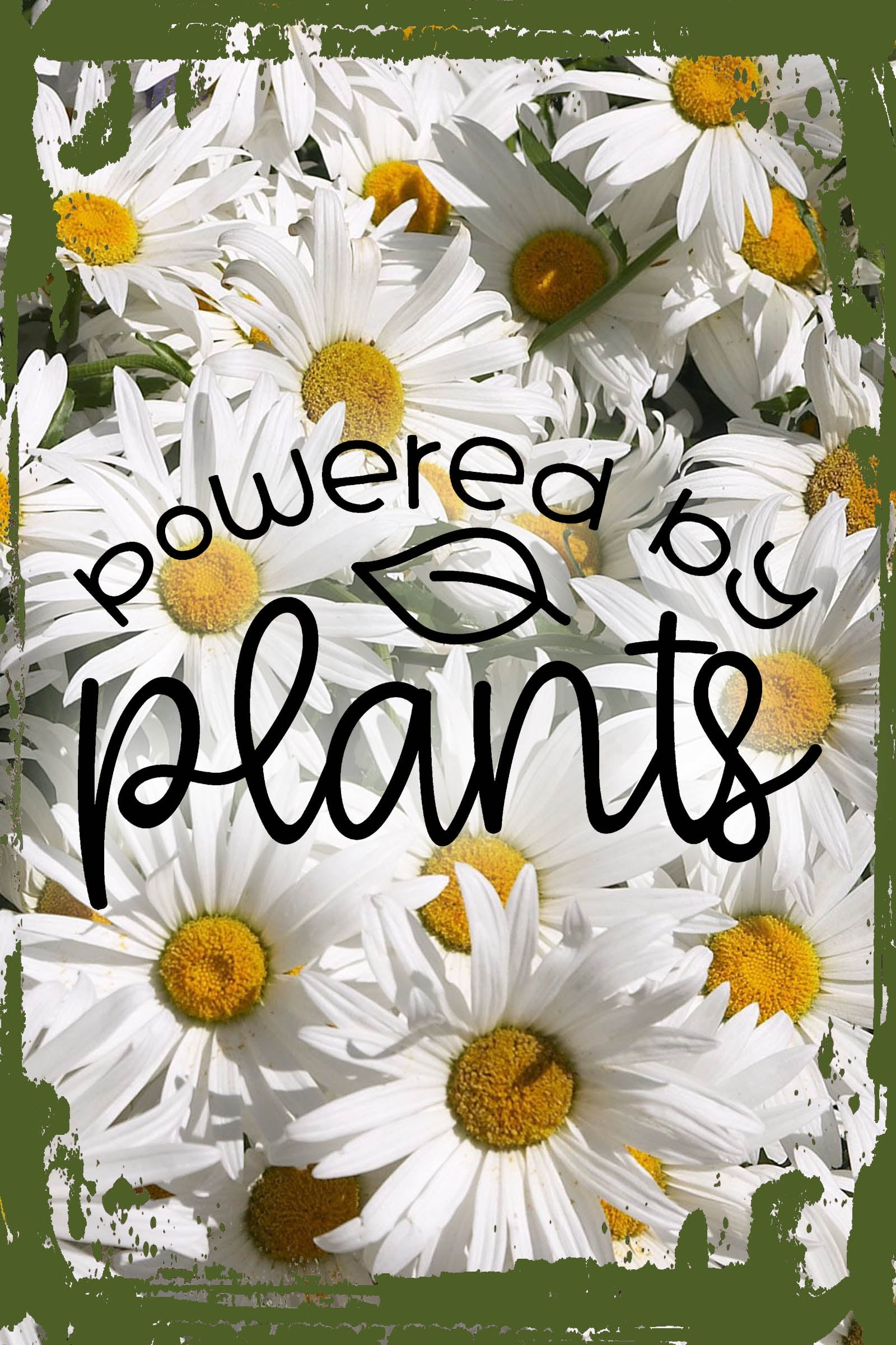 Daisy Flower Wall Art Powered by plants cursive greens healthy ...