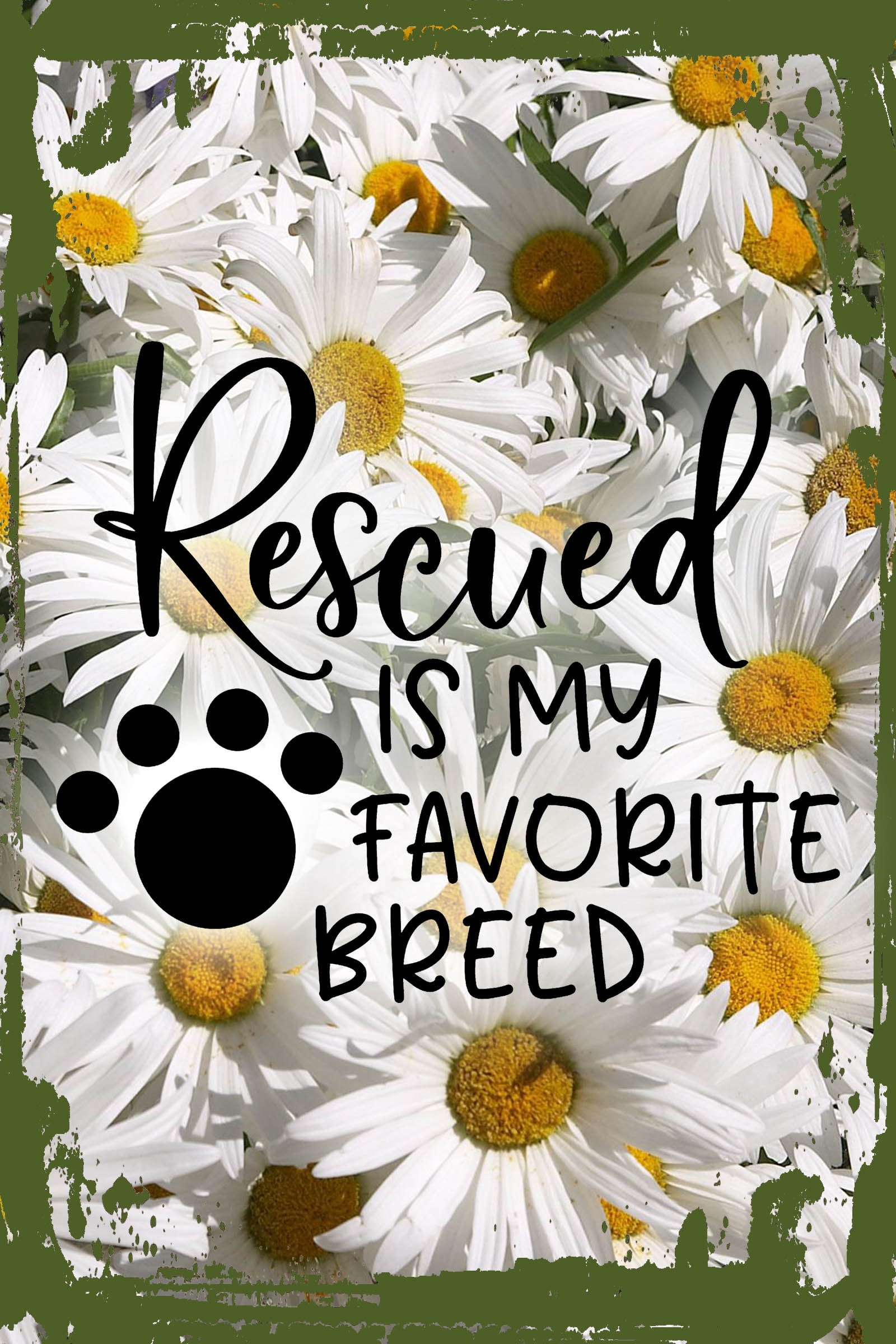 Daisy Flower Wall Art Rescued is my favorite breed cursive caps cat paw ...