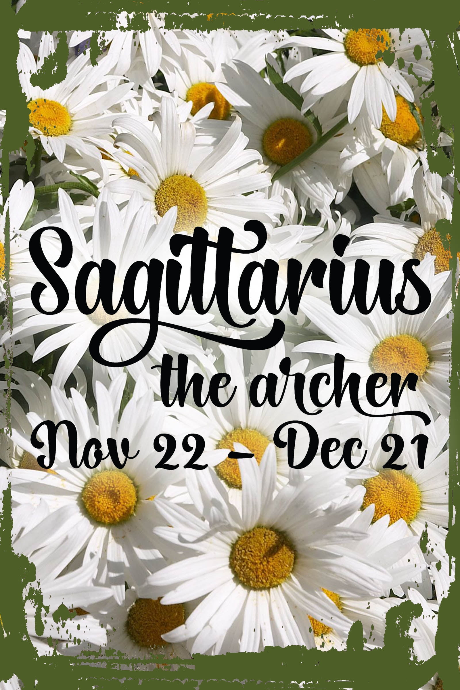 Daisy Flower Wall Art Sagittarius the archer Nov 22-Dec 21 cursive ...
