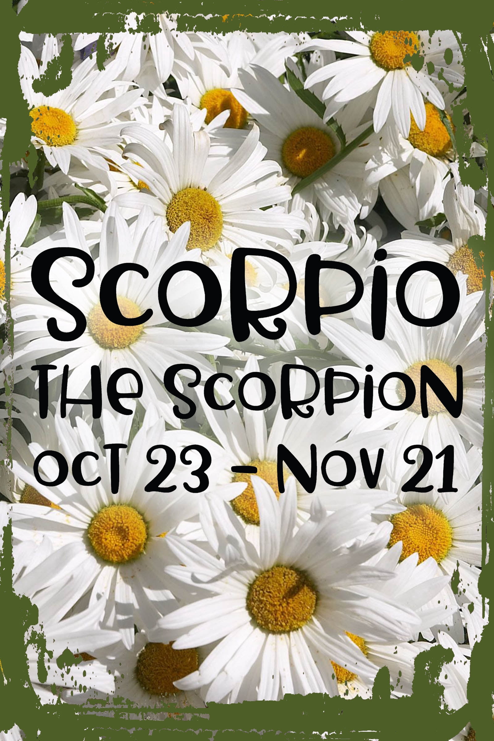 Scorpio zodiac sign flower 60 photos - Astrologytoyou.com