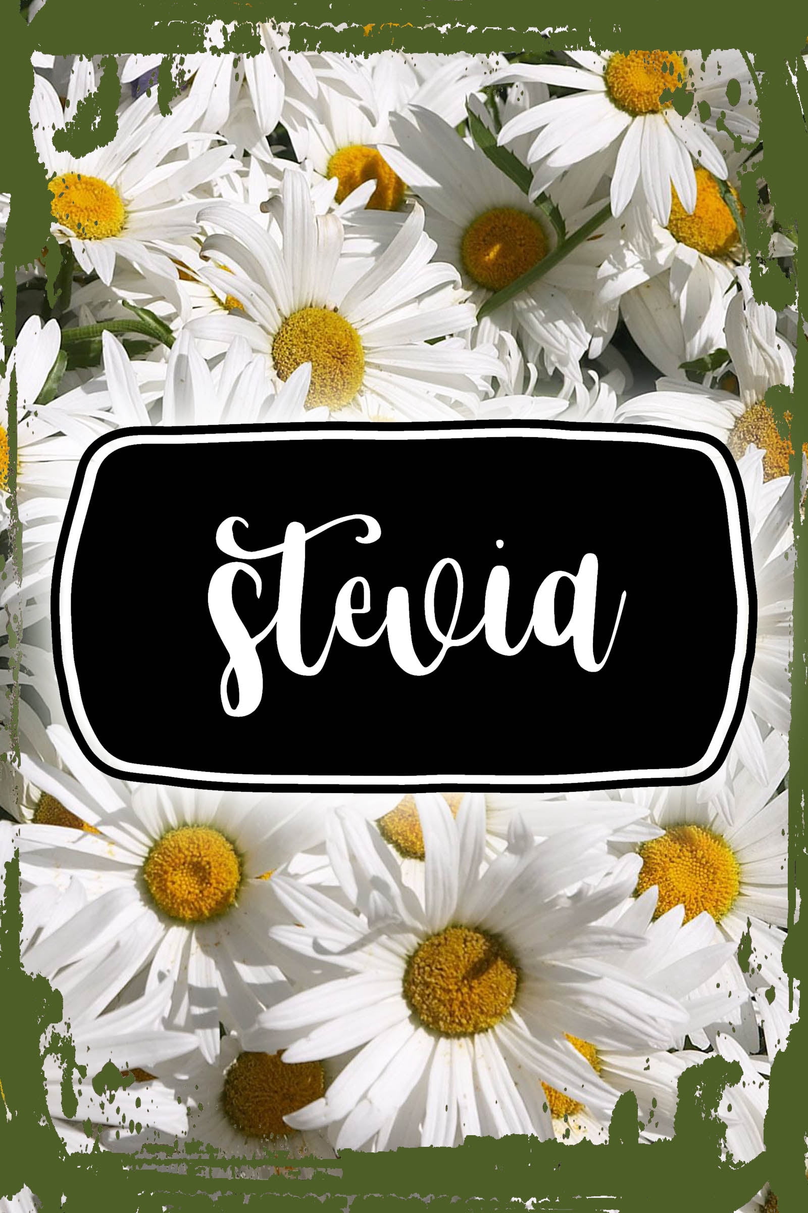 Daisy Flower Wall Art Stevia Sweetener Ingredients Recipe Black Label ...