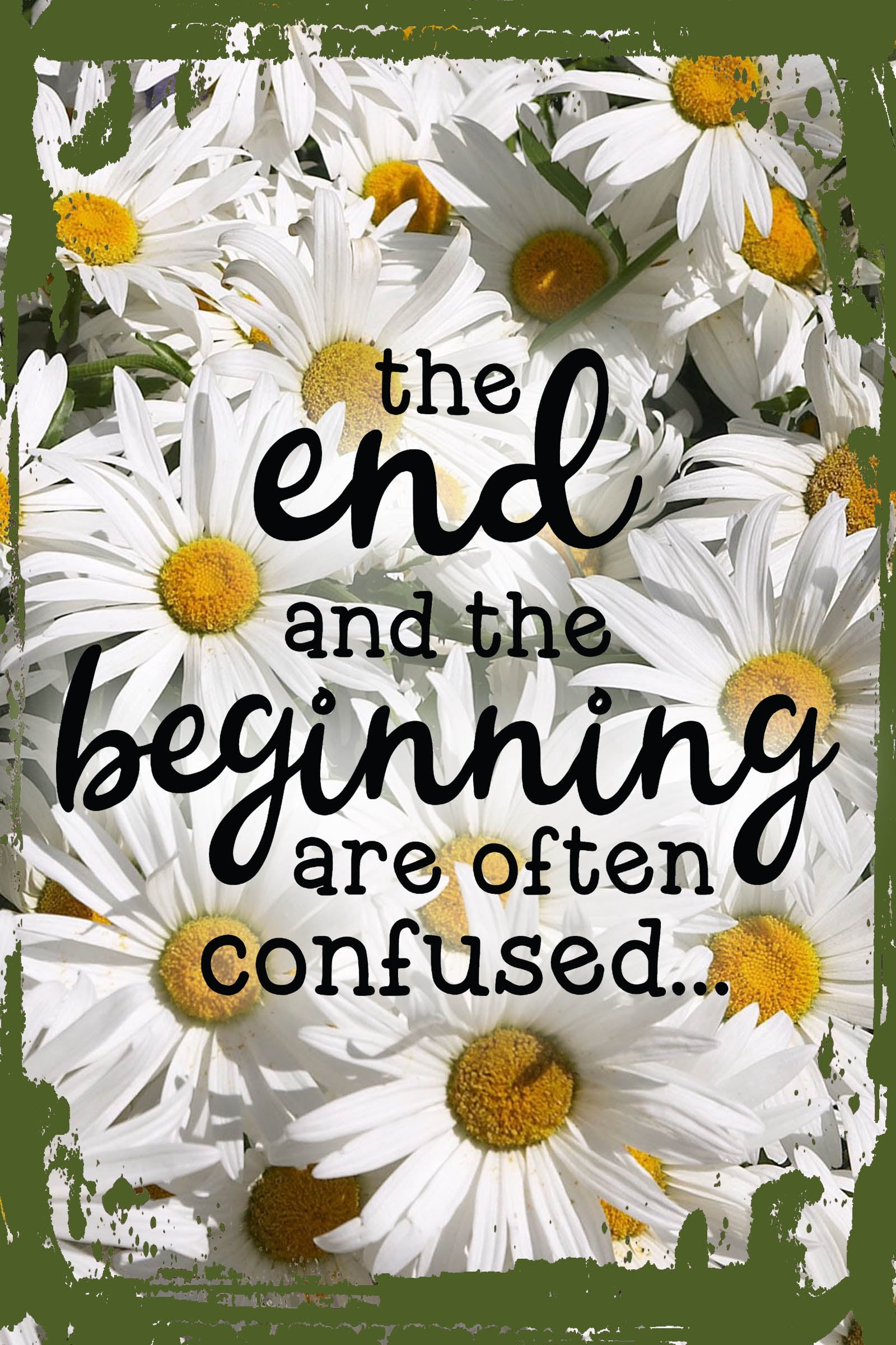 Daisy Flower Wall Art The end & the beginning are often confused ...
